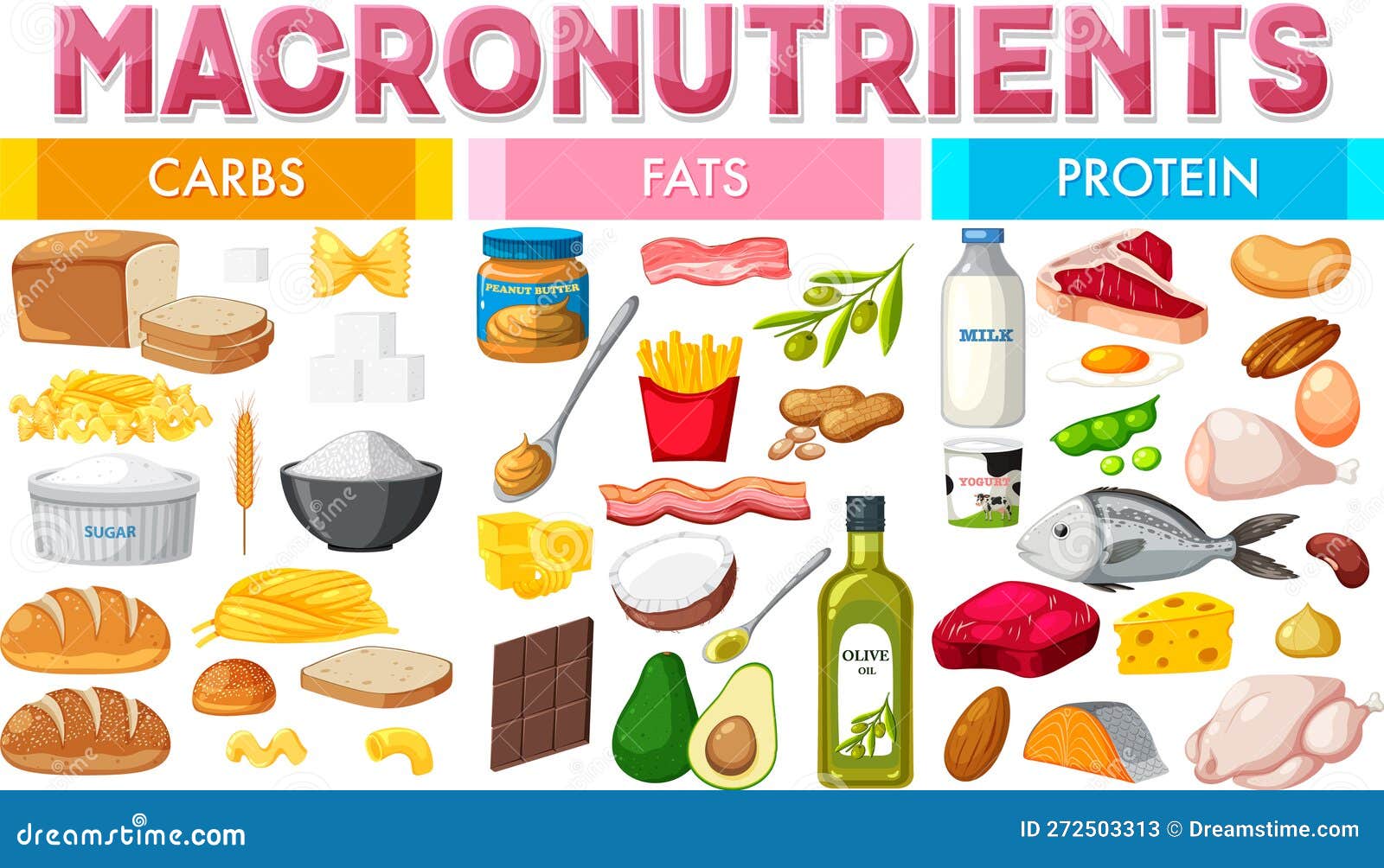 Macronutrients Diagram with Food Ingredients Stock Vector ...