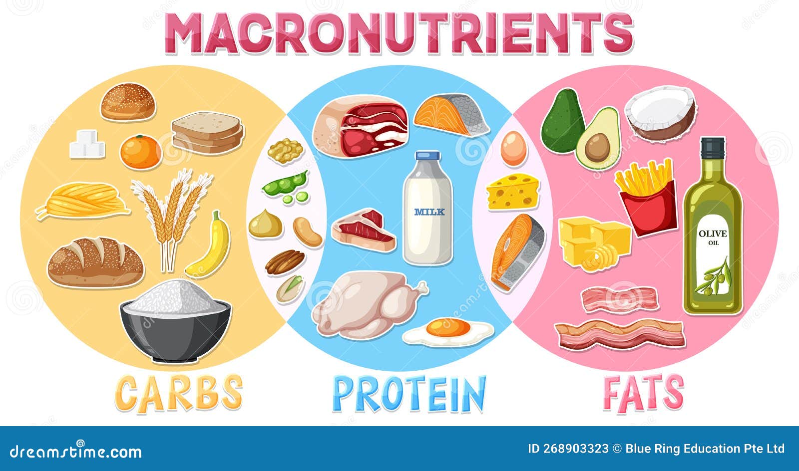 Macronutrients Diagram with Food Ingredients Stock Vector ... Macronutrients Diagram with Food Ingredients Stock Vector ...
