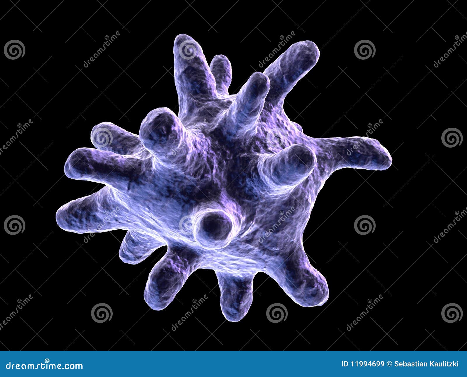 Macrophage stock illustration. Illustration of bacteria - 11994699