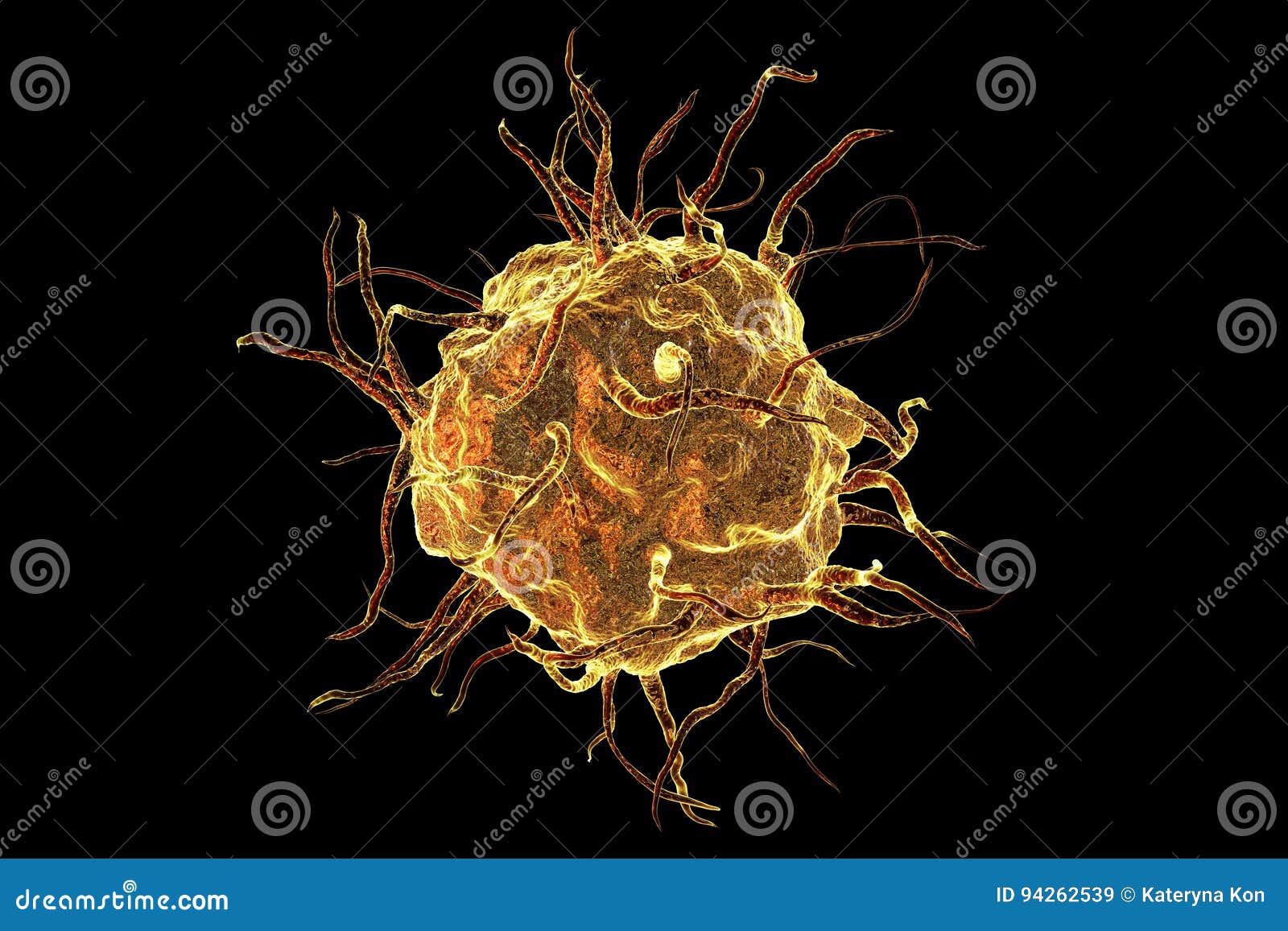 Macrophage Cell, Close-up View Stock Illustration - Illustration of ...