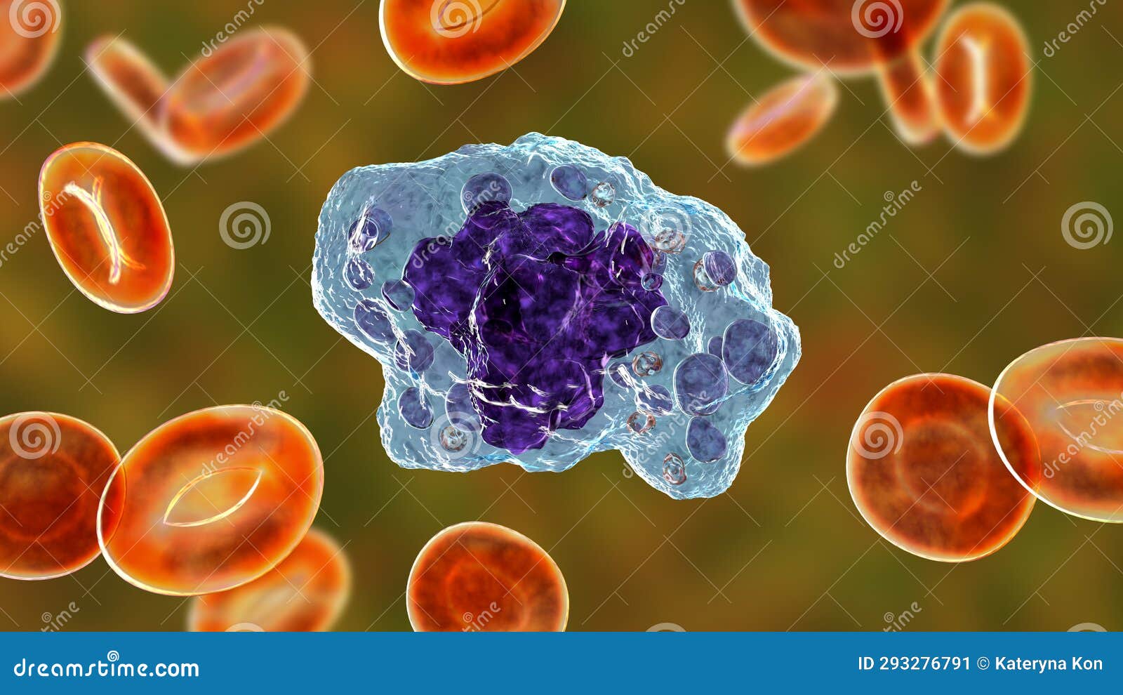 A Macrophage Cell, 3D Illustration Stock Illustration - Illustration of ...