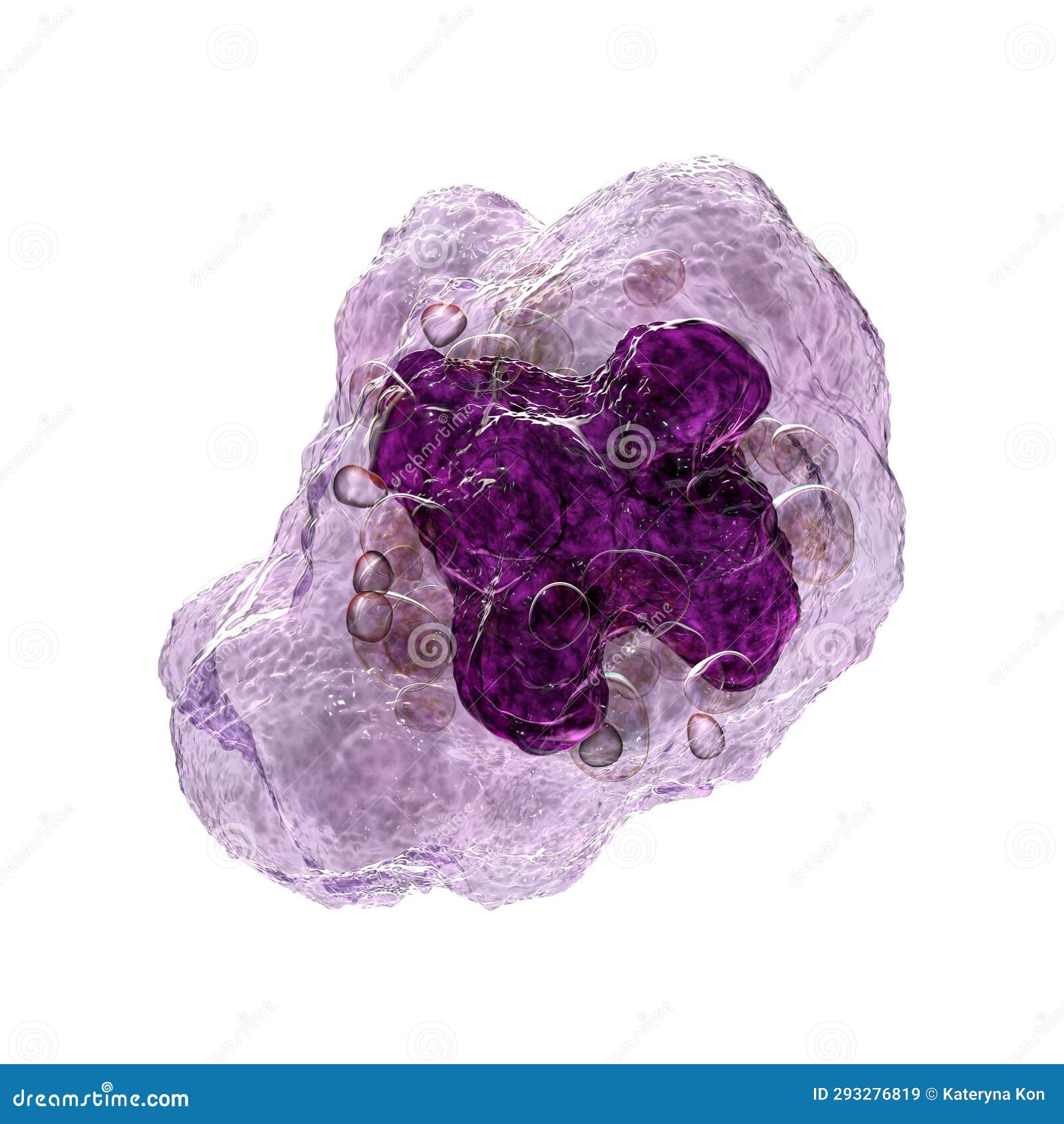 A Macrophage Cell, 3D Illustration Stock Illustration - Illustration of ...