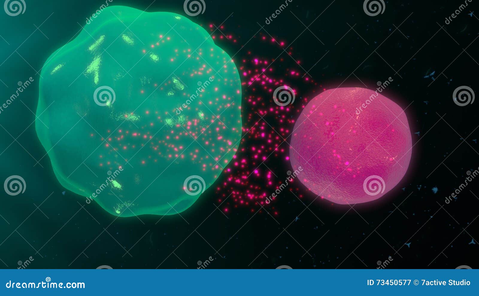 Macrophageband Med T-cellen Stock Illustrationer - Illustration av ...