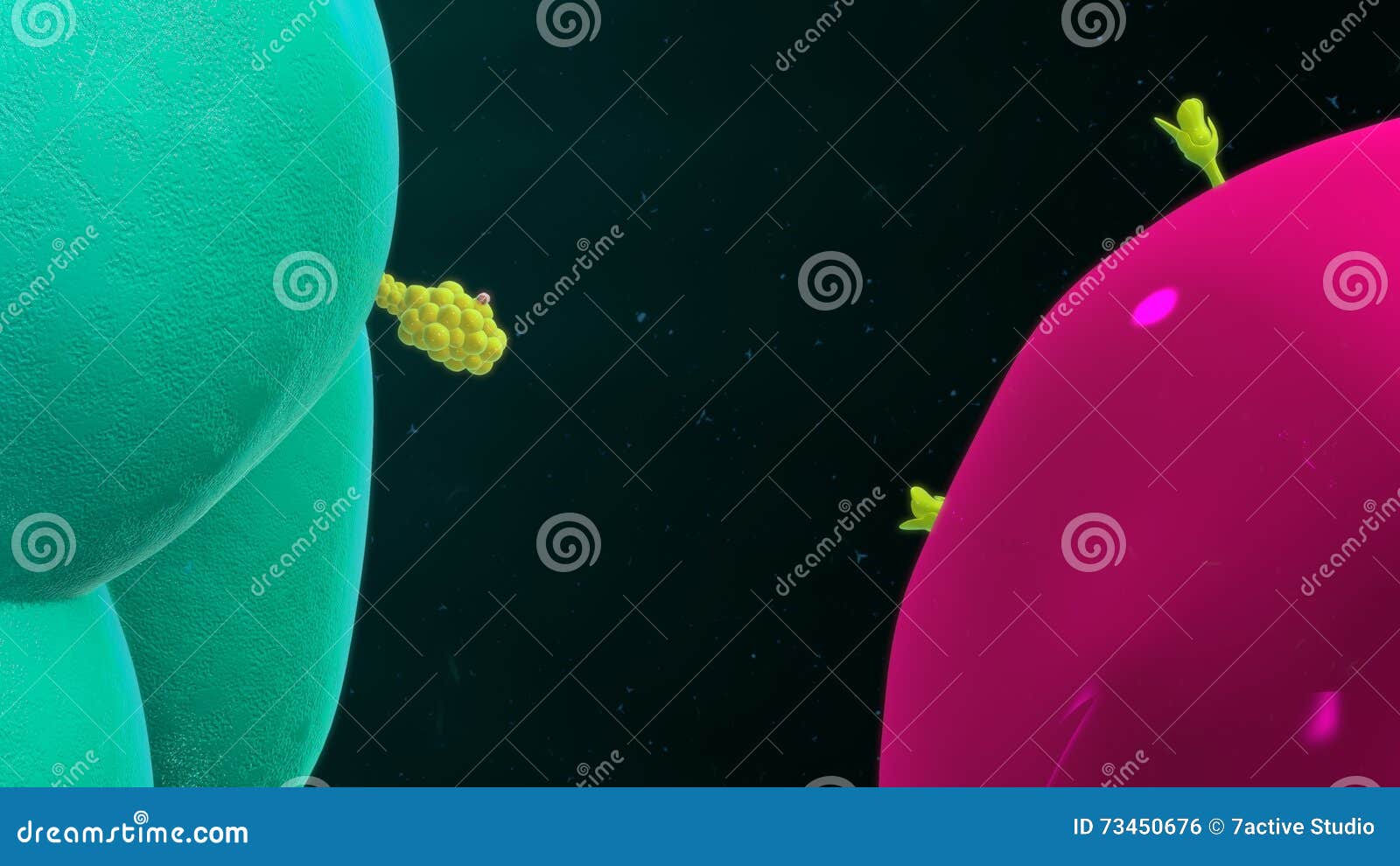 Macrophageband Med T-cellen Stock Illustrationer - Illustration av ...