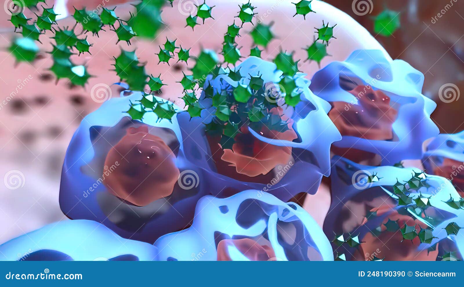 The Role of Macrophage in the Immune System Stock Illustration ...