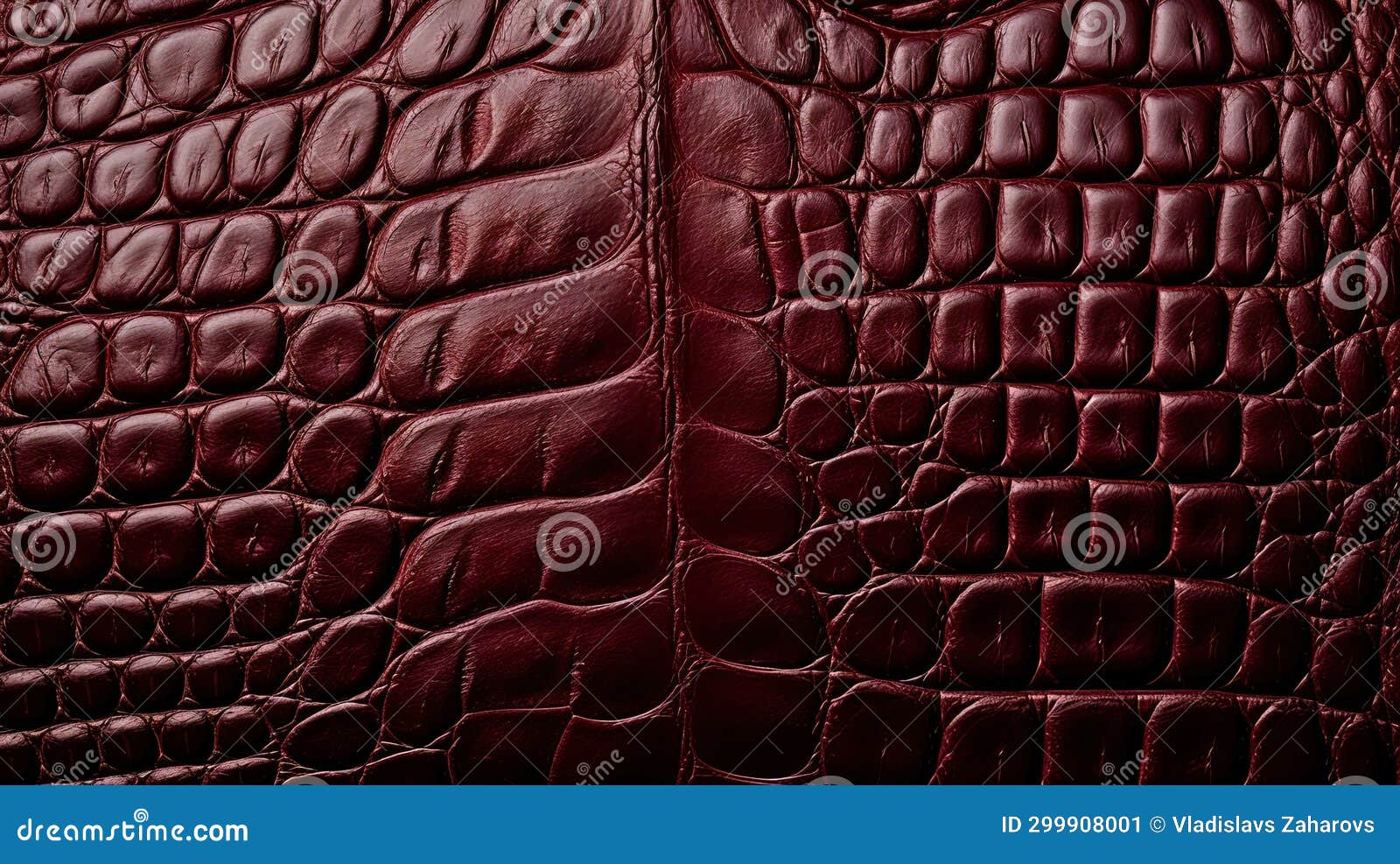 Texture Of Crocodile Skin,nature Background Royalty-Free Stock Image ...