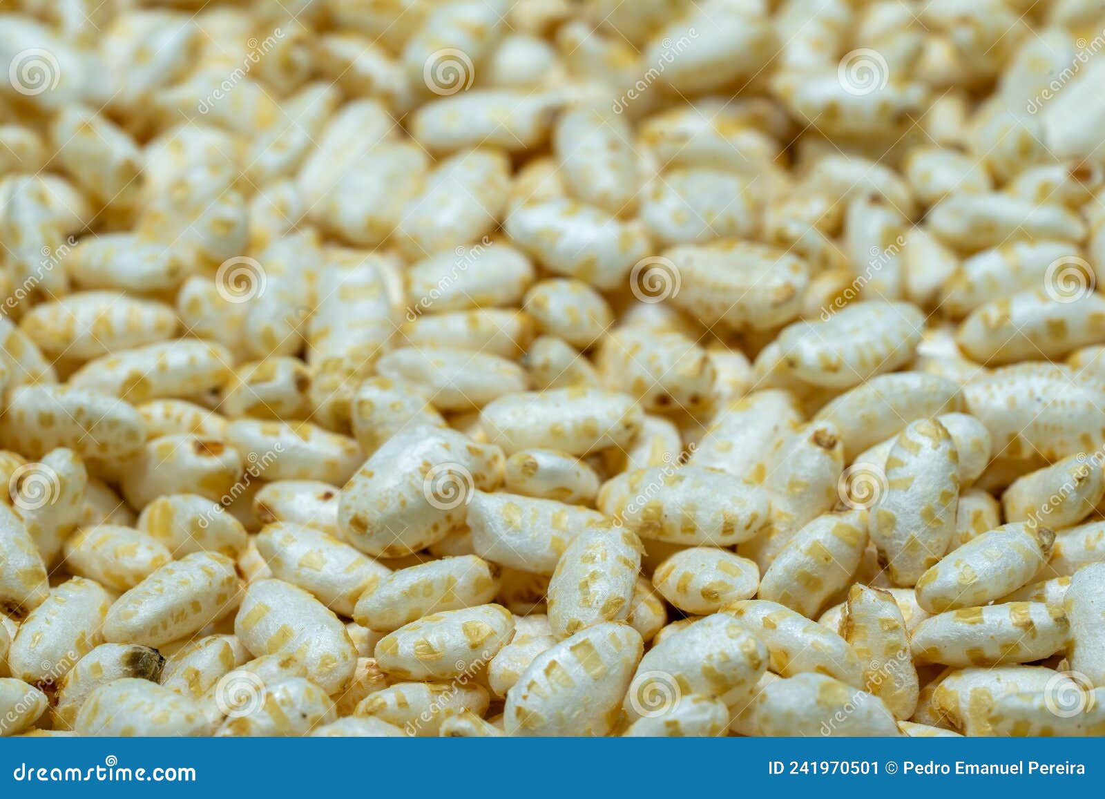 Macrophotography of Several Puffed Rice Grains. Stock Image - Image of ...
