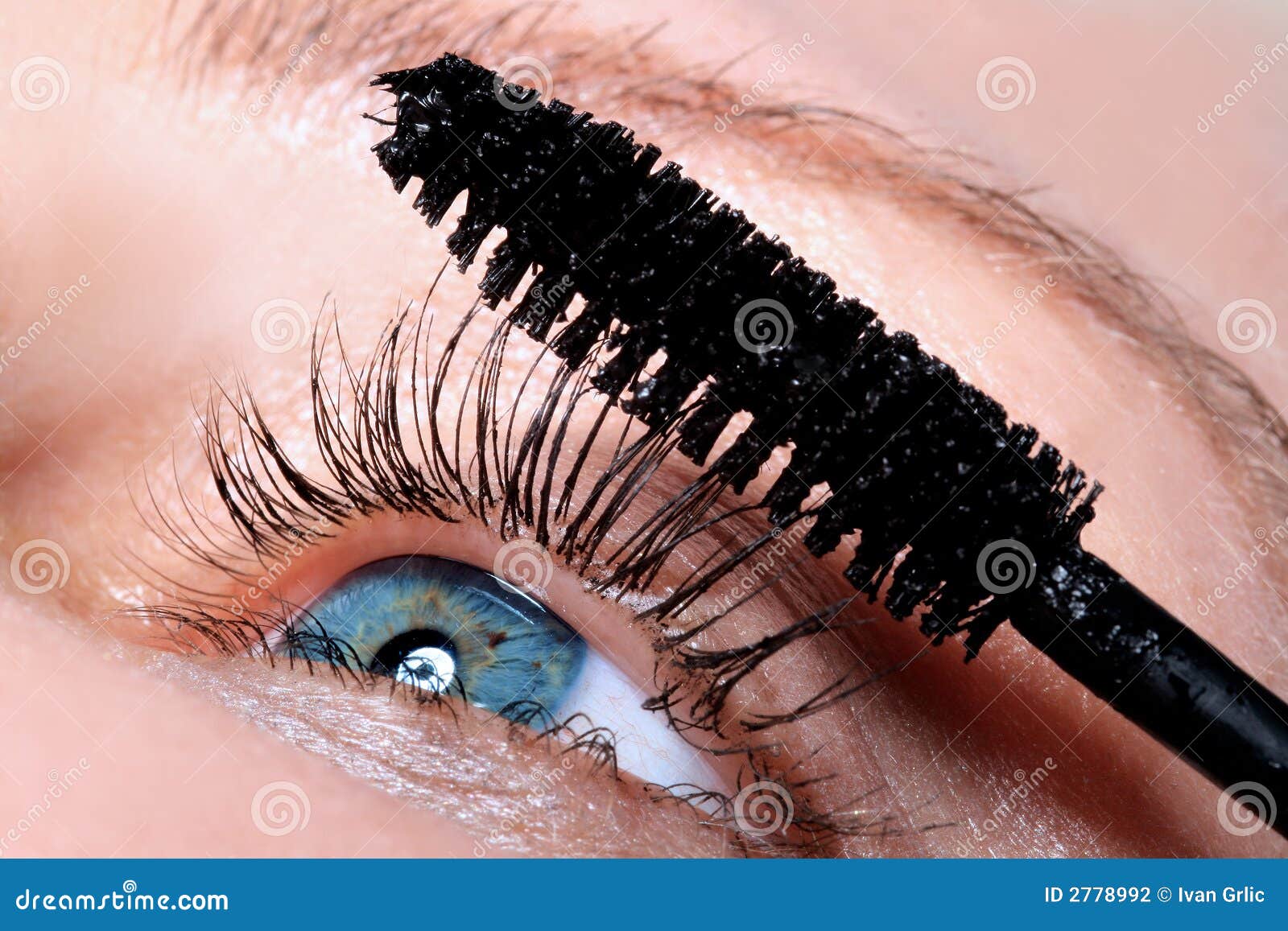 Macsara stock photo. Image of fresh, beauty, females, firm - 2778992