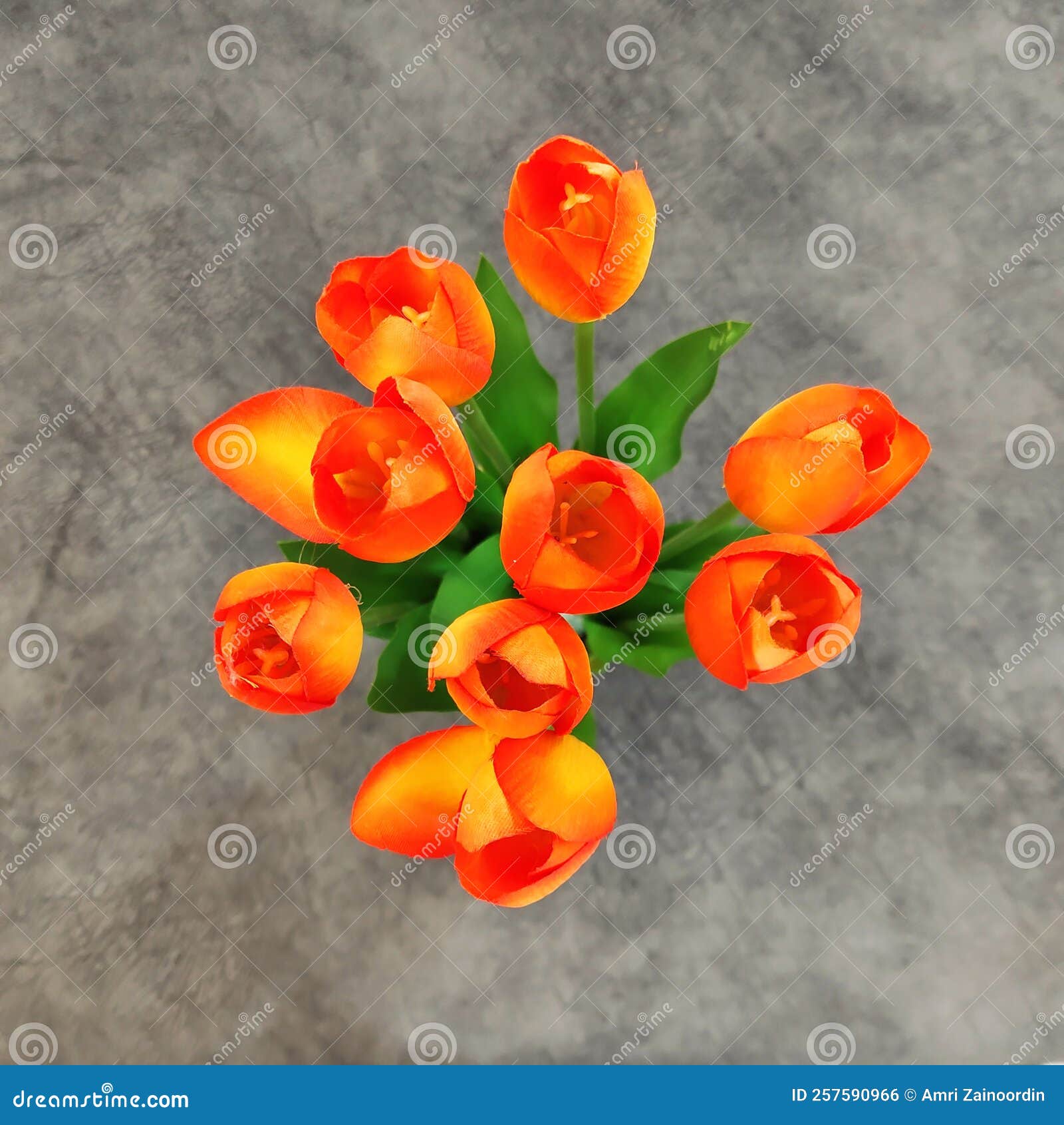 Mad behind the flower stock photo. Image of flower, felling - 257590966