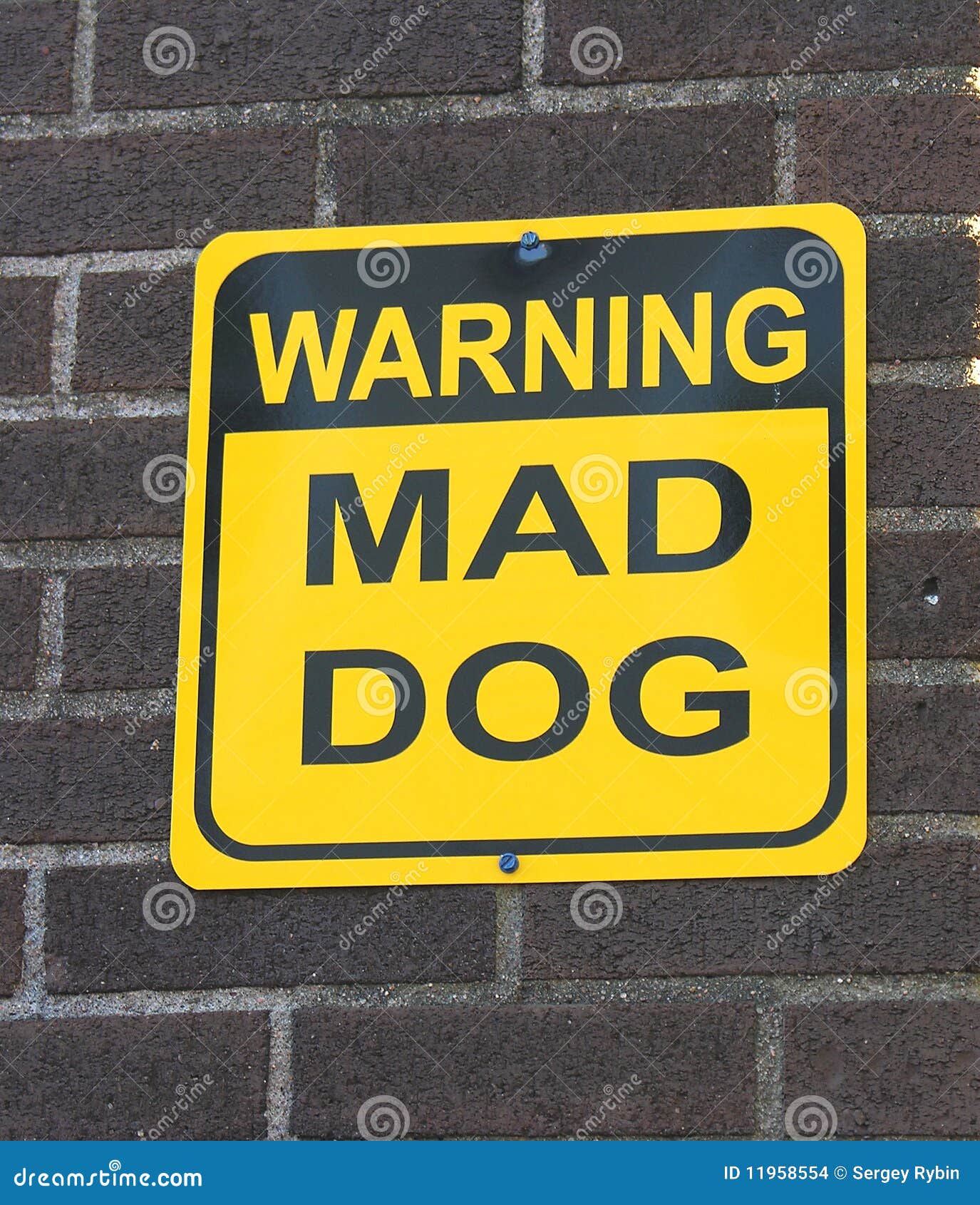 Mad dog. stock photo. Image of wall, diabolical, carefully - 11958554