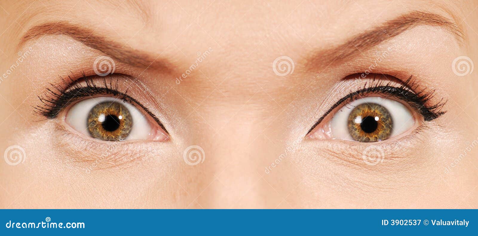 Mad human eyes stock image. Image of human, woman, negative - 3902537