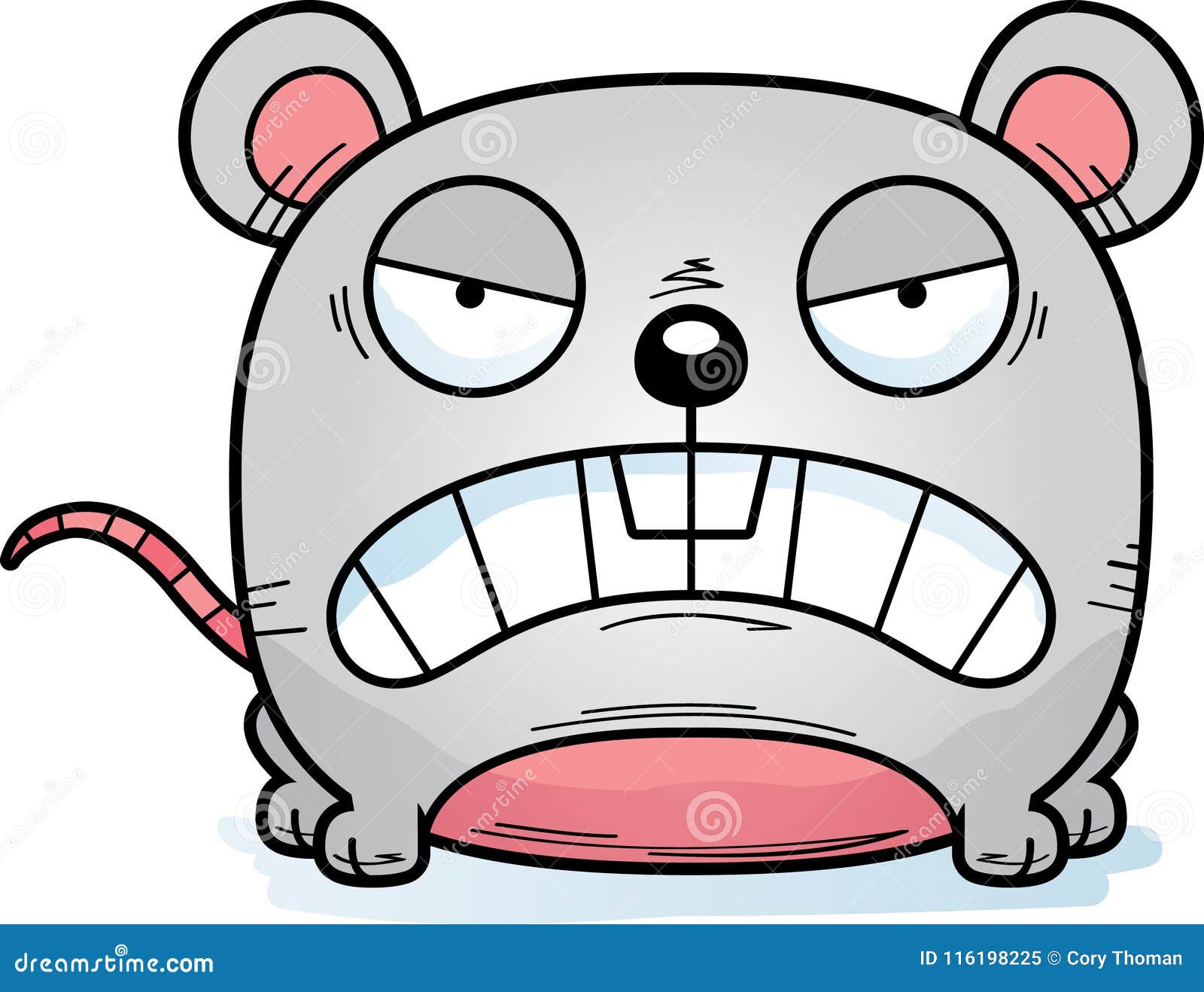 Mad Little Mouse stock vector. Illustration of animal - 116198225
