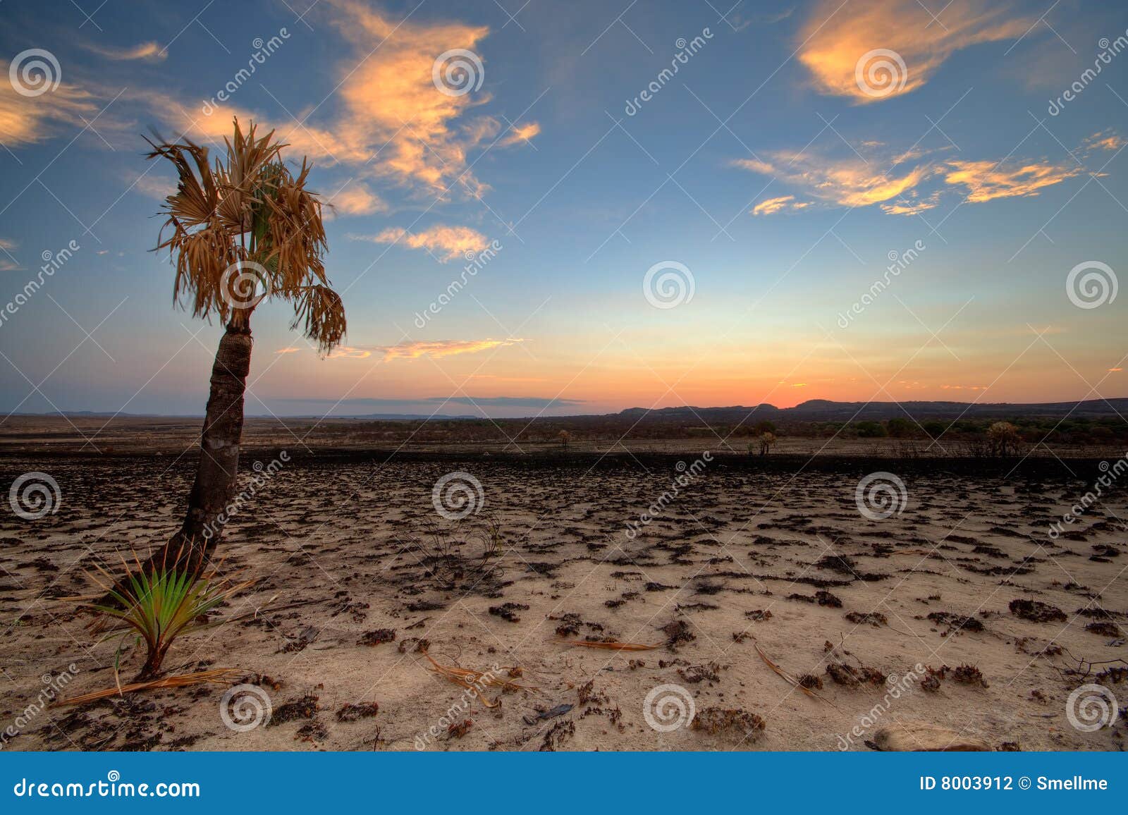 Madagascar stock photo. Image of horizon, isalo, desert - 8003912
