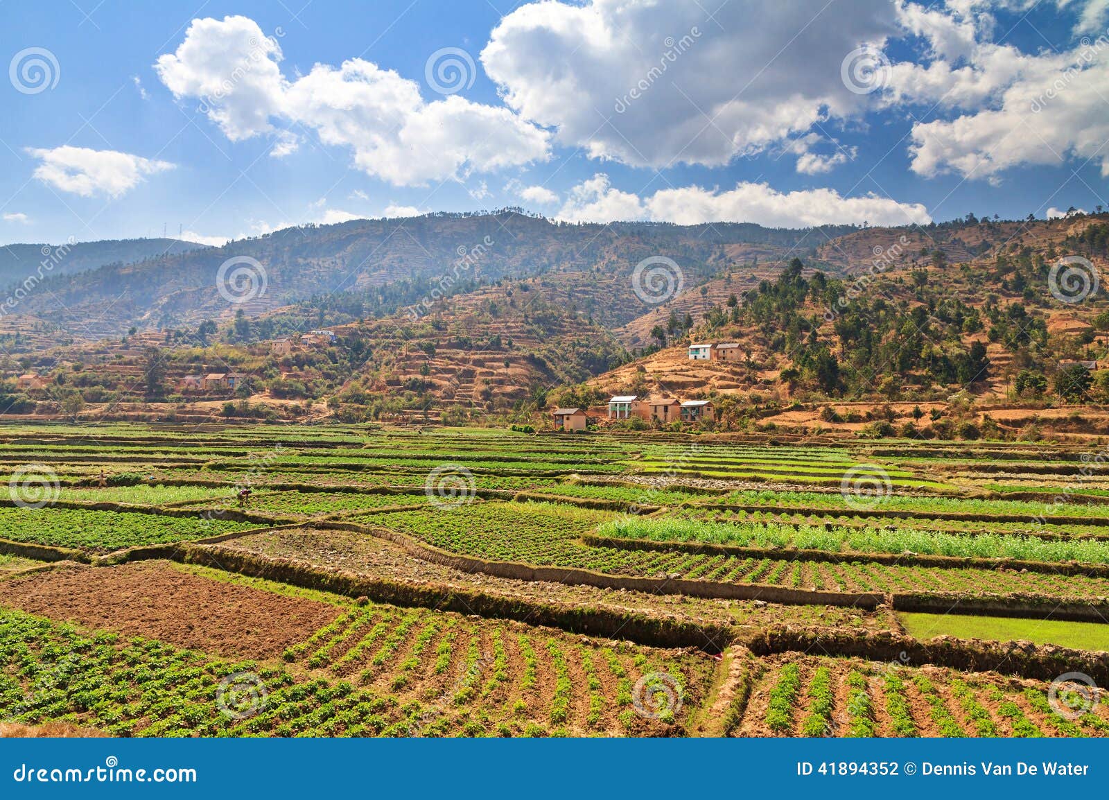 Madagascar agriculture stock photo. Image of panorama - 41894352