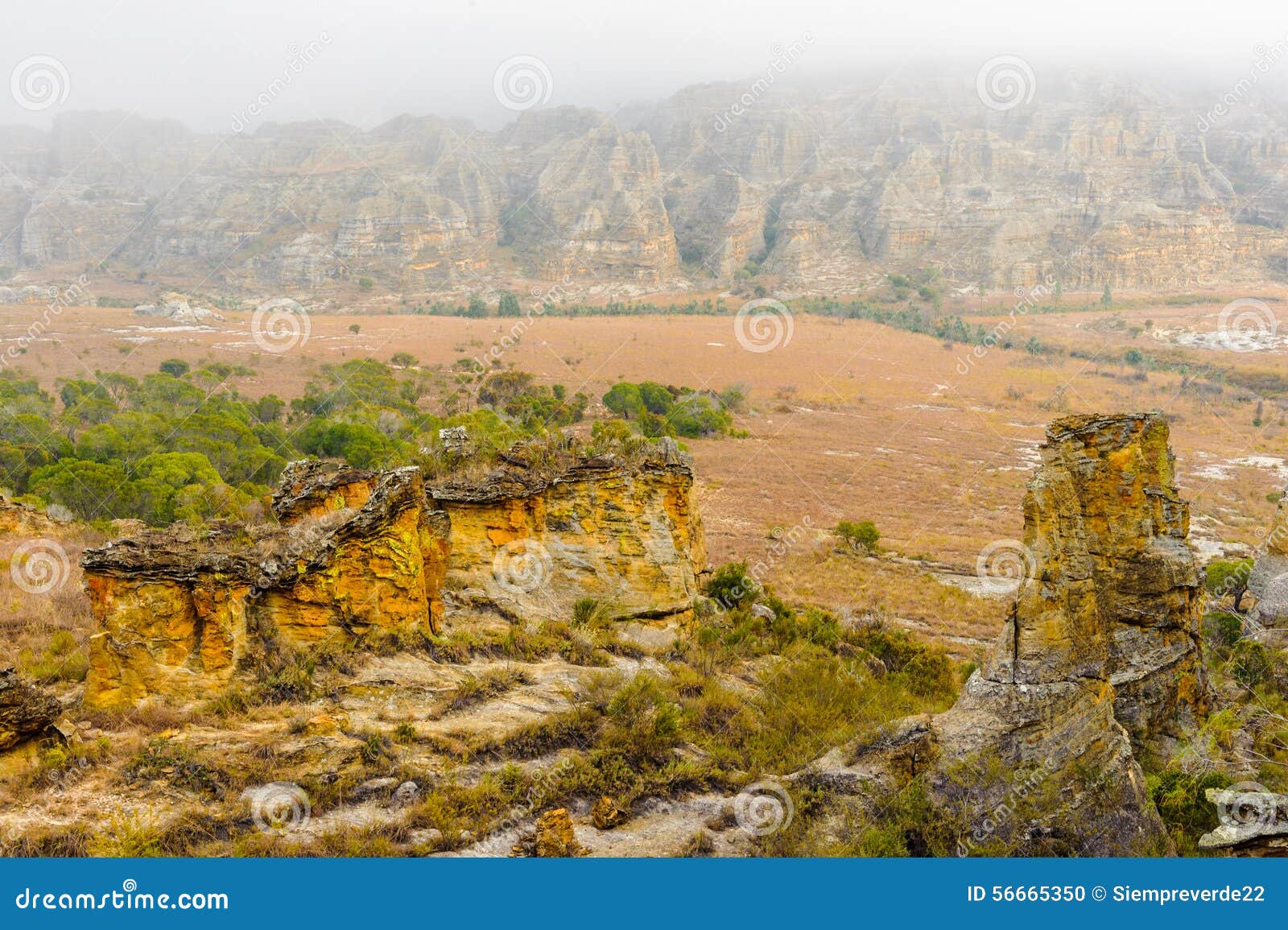 Madagascar stock photo. Image of peace, madagascar, desert - 56665350