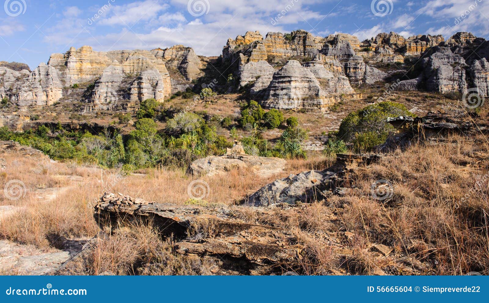 Madagascar stock photo. Image of travel, spring, african - 56665604