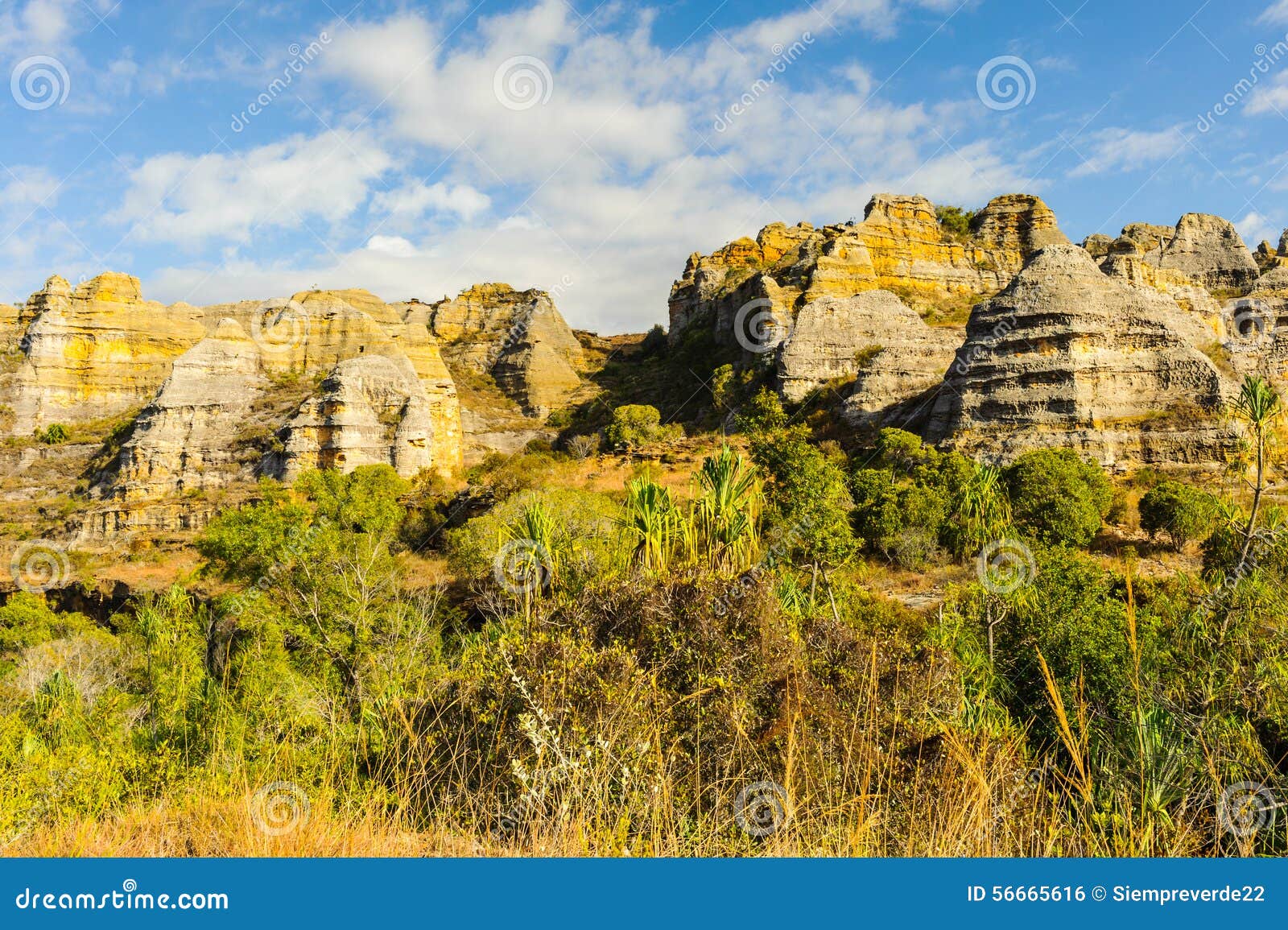 Madagascar stock photo. Image of beautiful, natural, tropic - 56665616