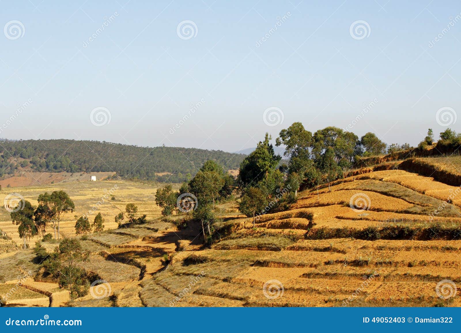 Madagascar Landscape - Panoramic View Stock Image - Image of orange ...