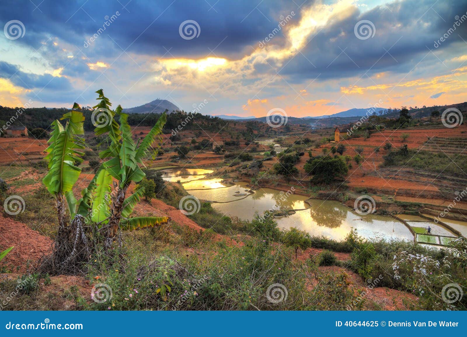 Madagascar sunset soil stock image. Image of crops, environment - 40644625