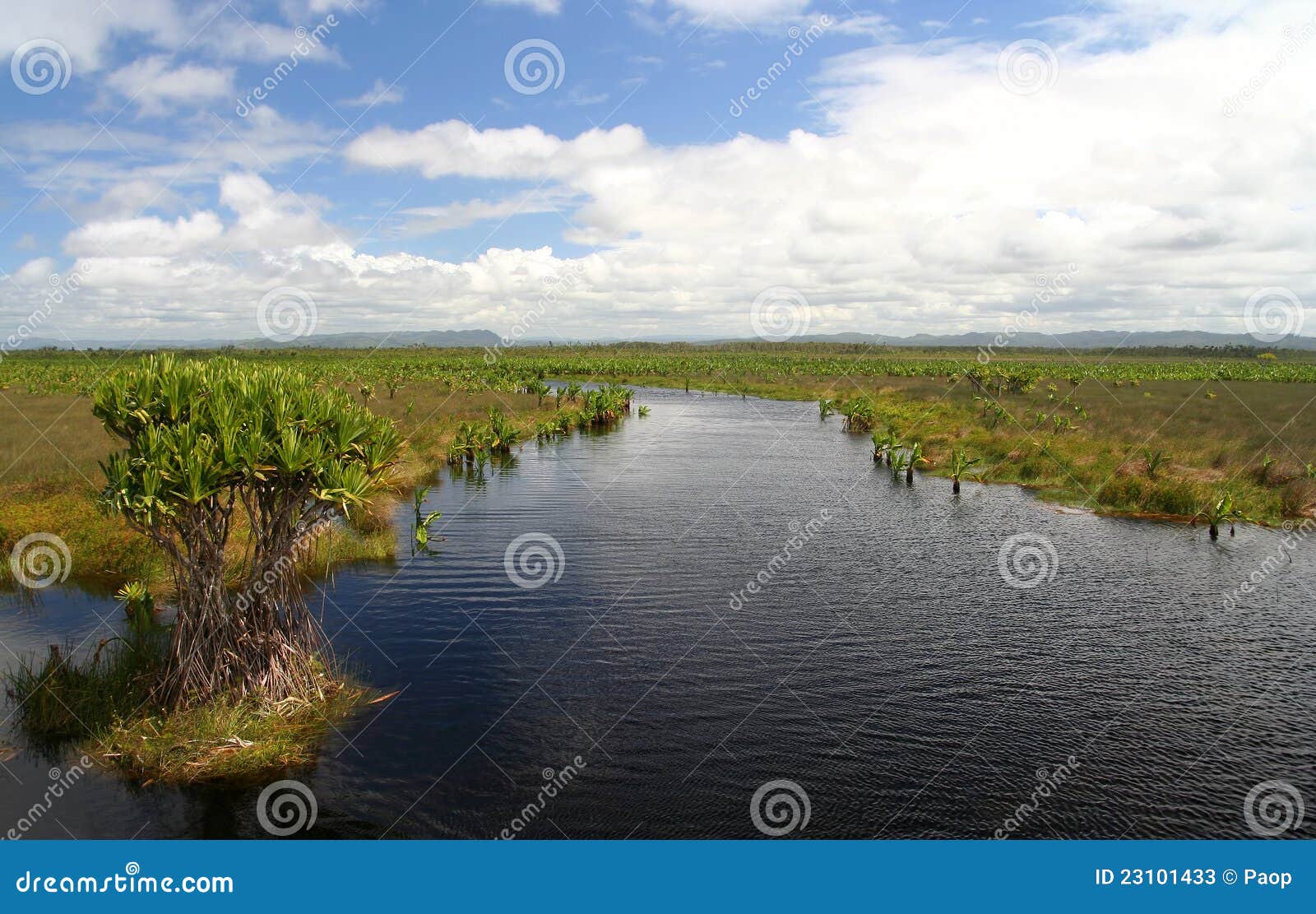 Madagascar Wetland and Lakes Stock Image - Image of beautiful, river ...