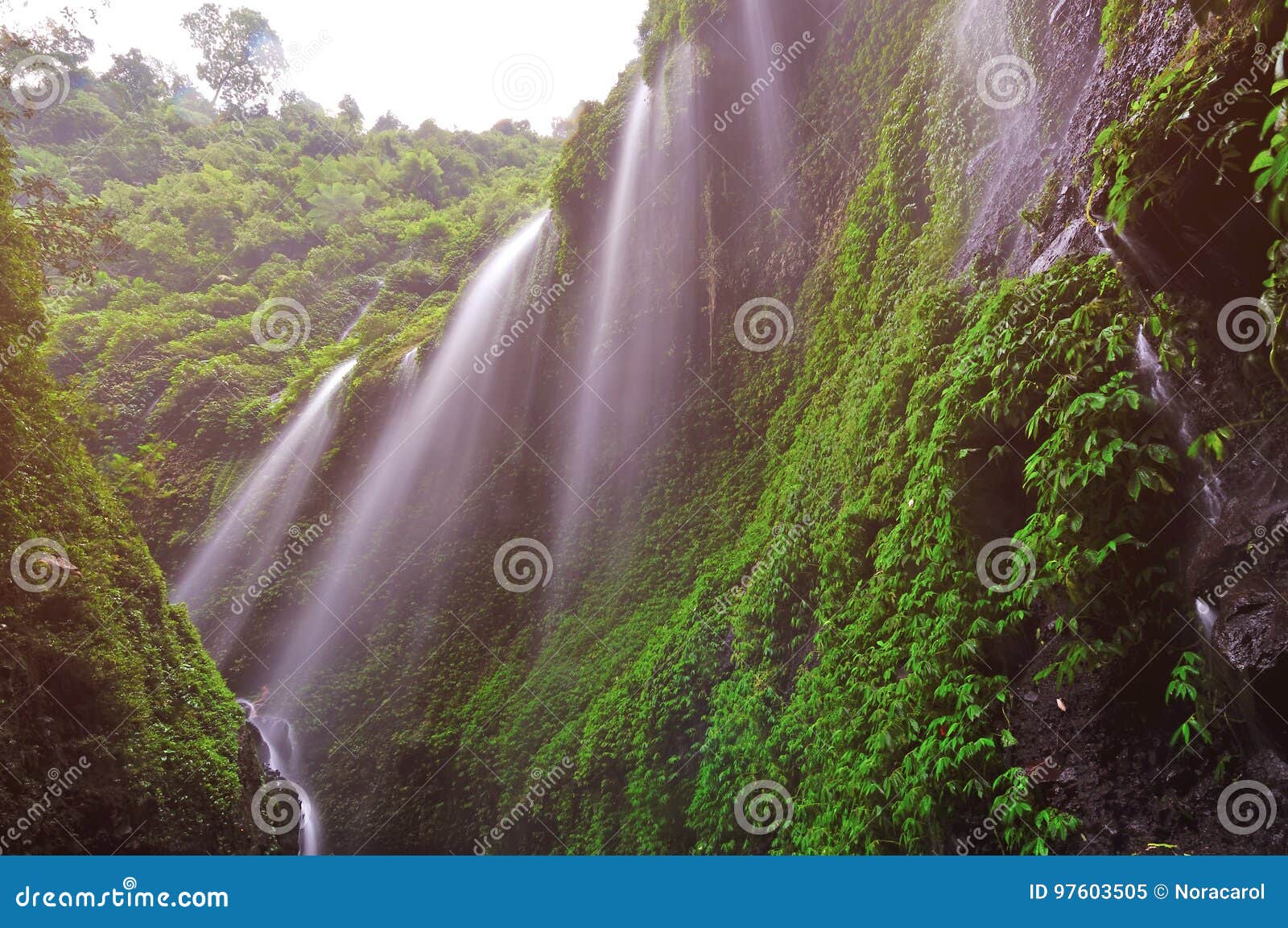 Madakaripura Waterfall stock image. Image of beautiful - 97603505