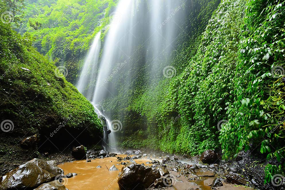 Madakaripura Waterfall-Deep Forest Waterfall in East Java, Indonesia ...