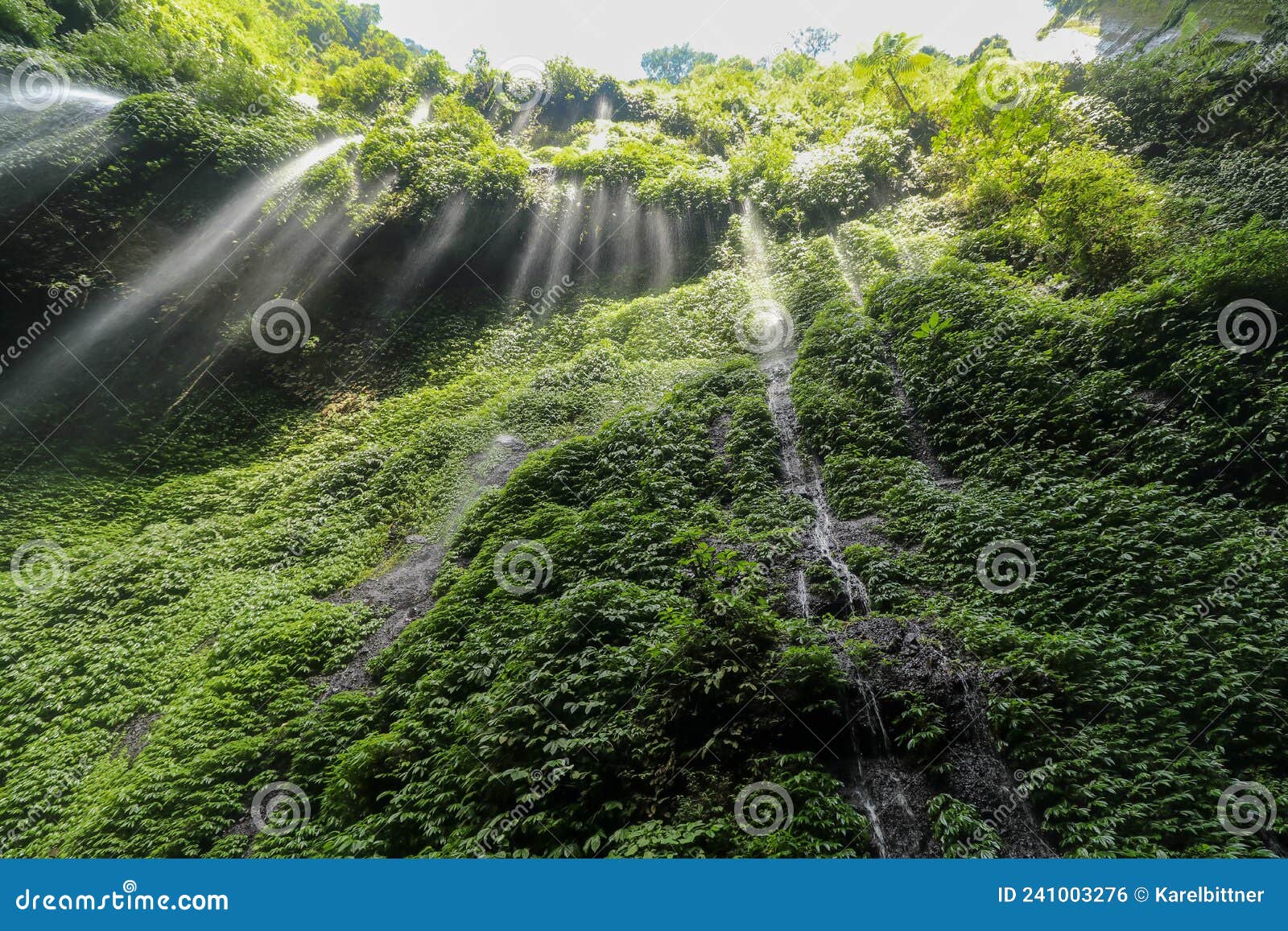 Madakaripura Waterfall-Deep Forest Waterfall in East Java, Indonesia ...