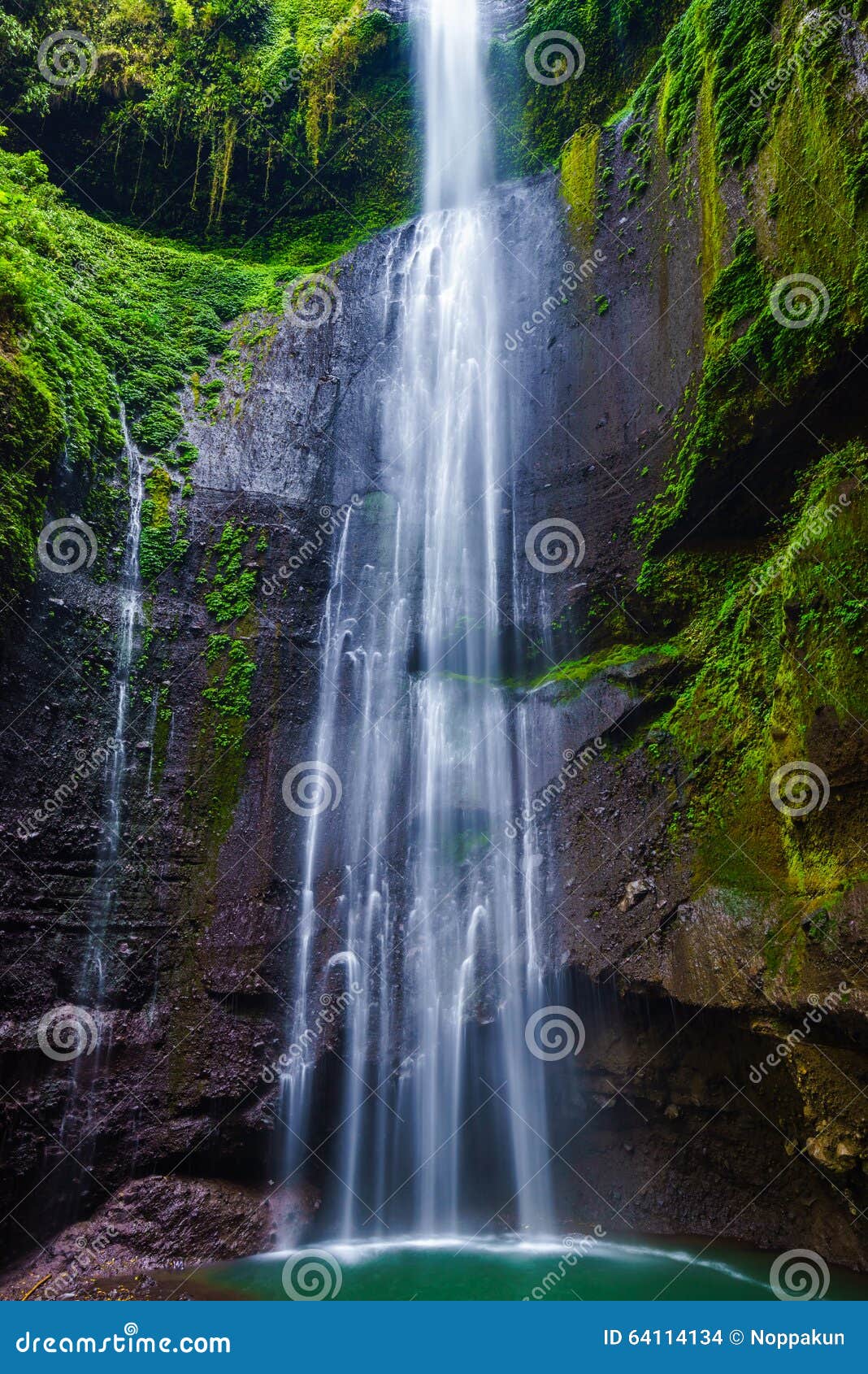 Madakaripura Waterfall, East Java, Indonesia Stock Photo - Image of ...