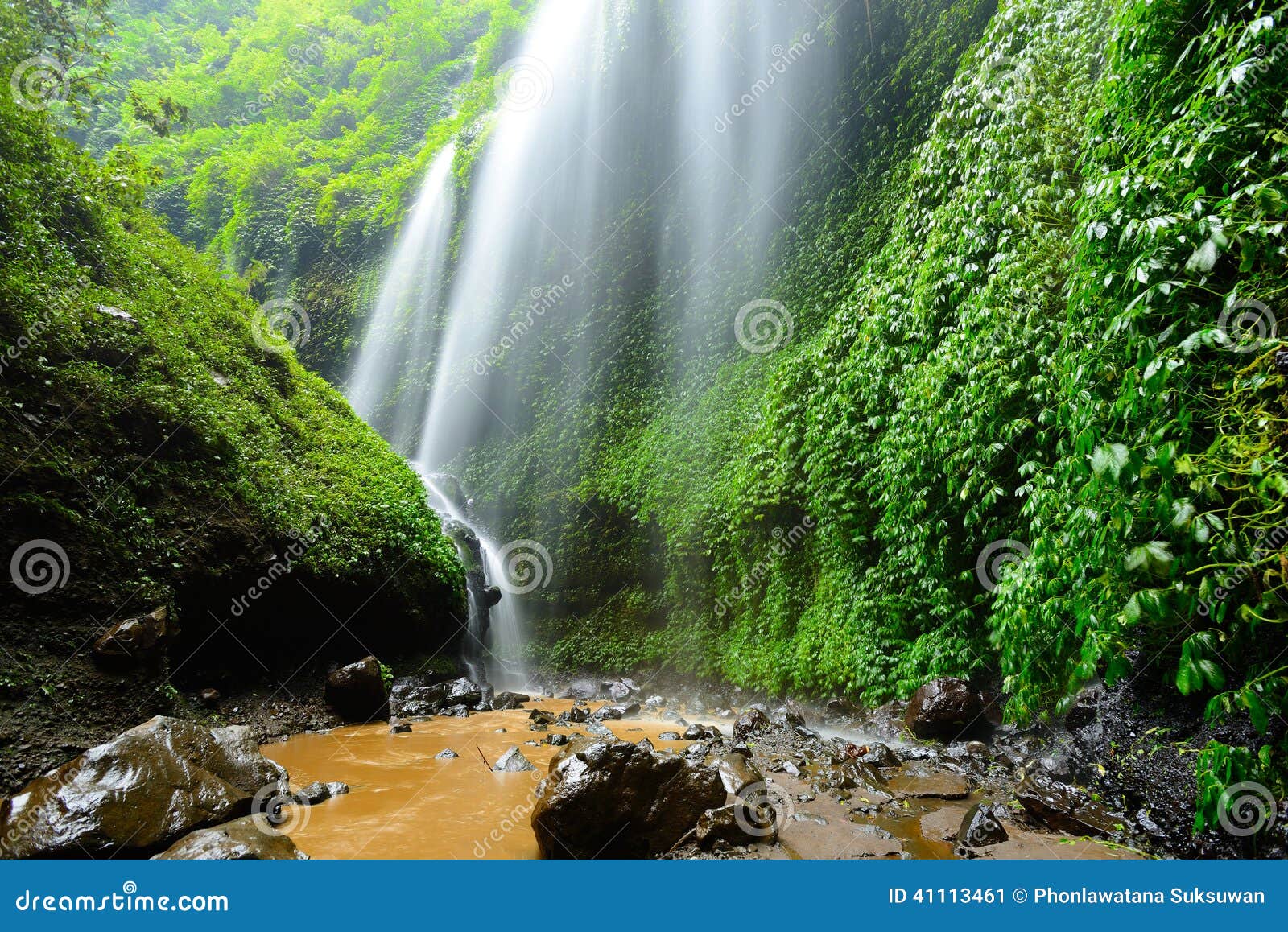Madakaripura Waterval-Diep Forest Waterfall in Oost-Java, Indon Stock ...