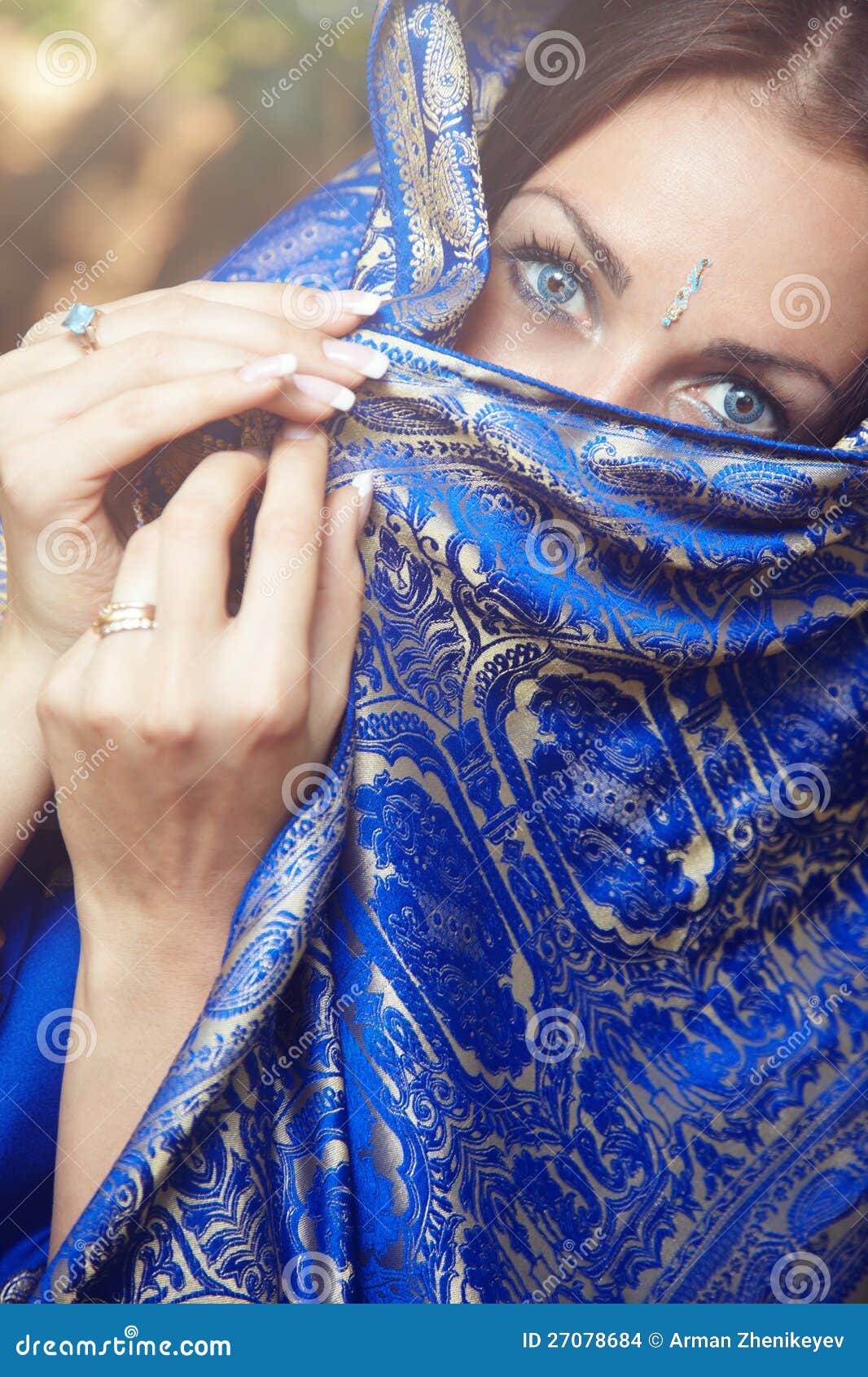 Madame dans le sari photo stock. Image du inde, fille - 27078684