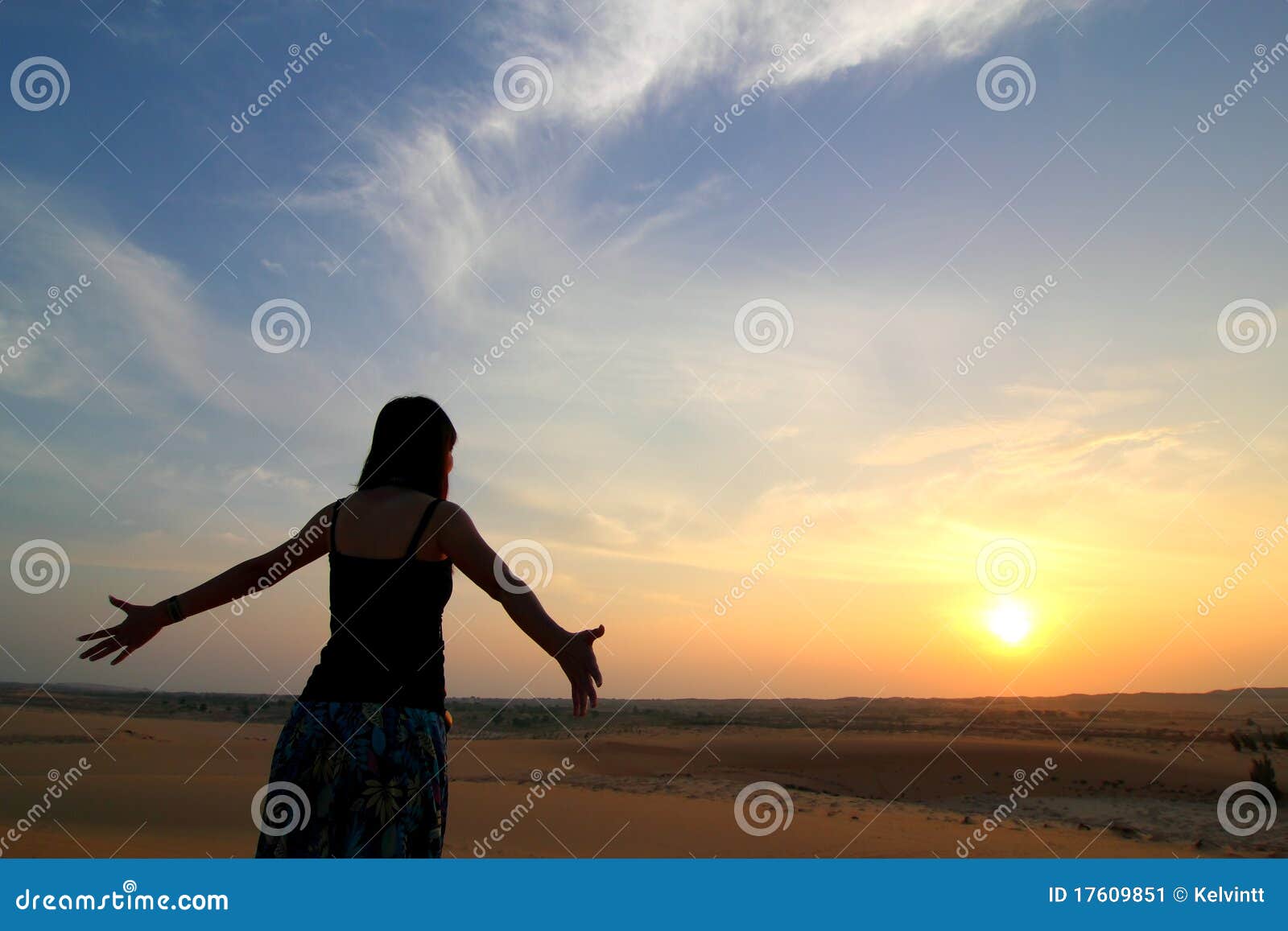 Madame Facing Sunset image stock. Image du vivant, jour - 17609851