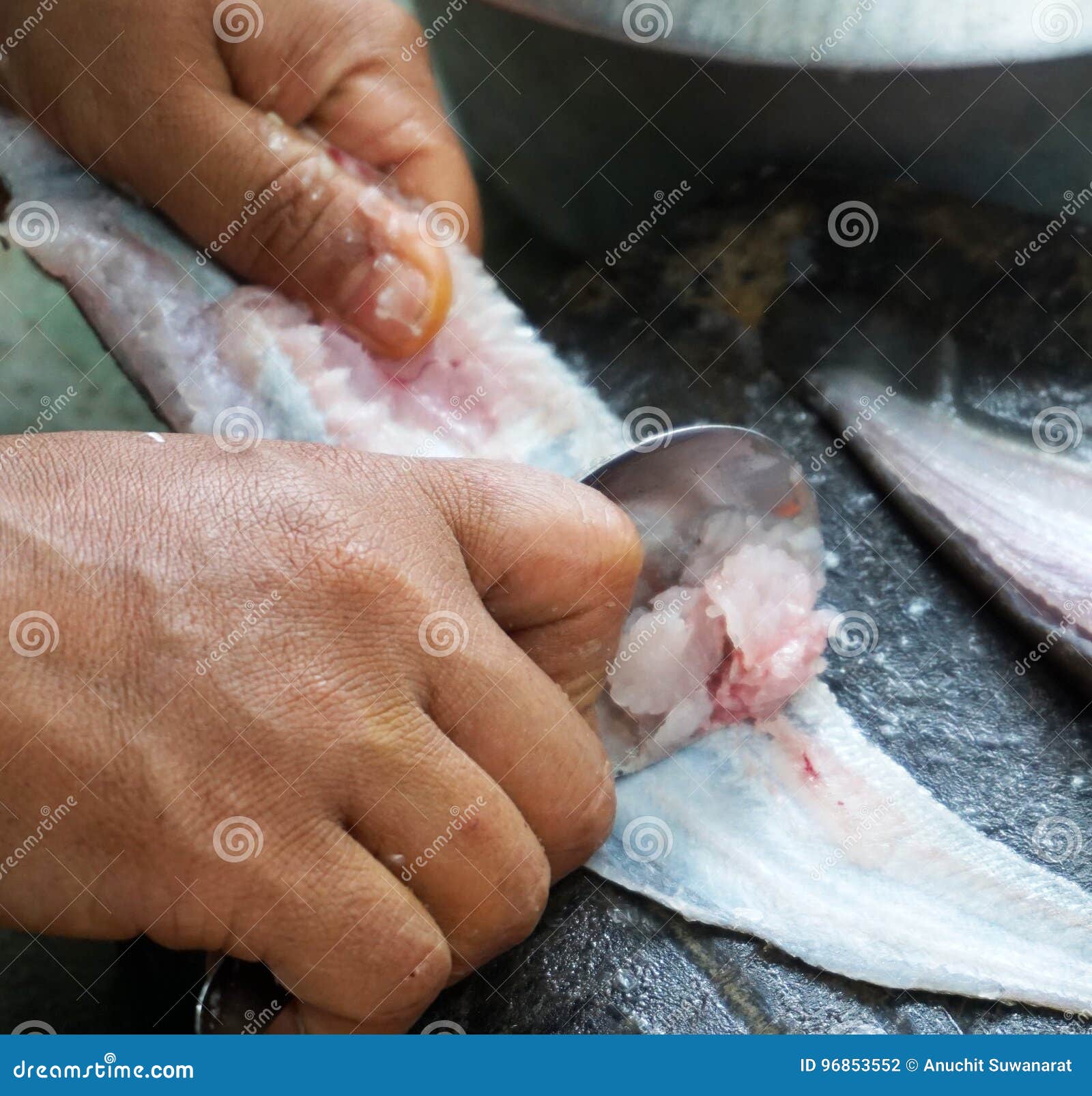 Man-Made Fish Pond, Agricultural Farm And Pine Trees Royalty-Free Stock ...