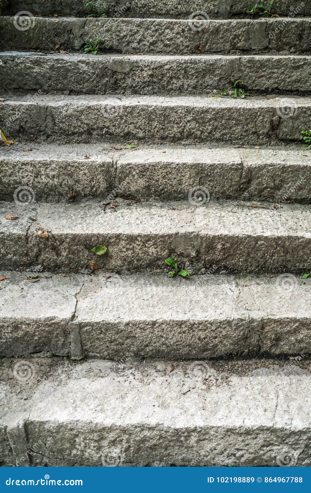 Stone ladder stock image. Image of ladder, stone, climbing - 102198889