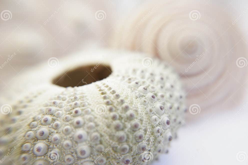 Made by nature stock image. Image of homeware, marine, colours - 124143