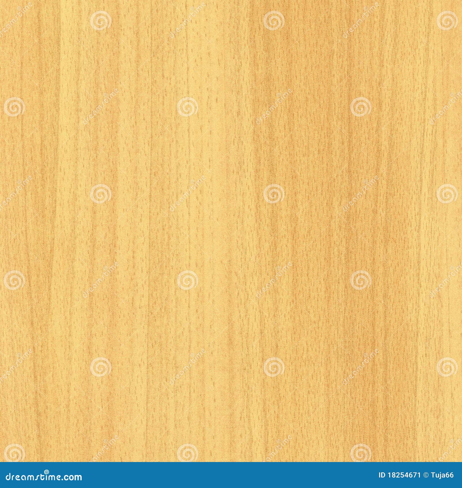 Clam Marrom Color Pictures And Images - RGB Color Hex Code [#FFC080 - 100%]