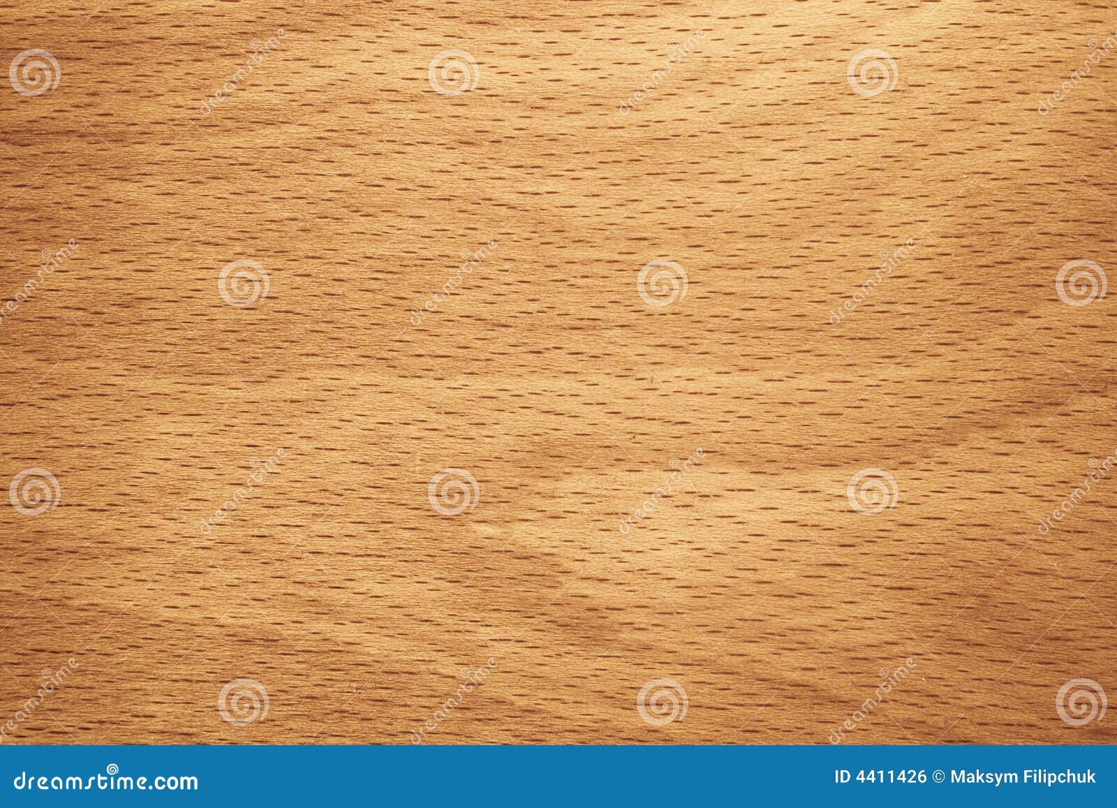 Madeira de faia foto de stock. Imagem de listrado, backdrop - 4411426