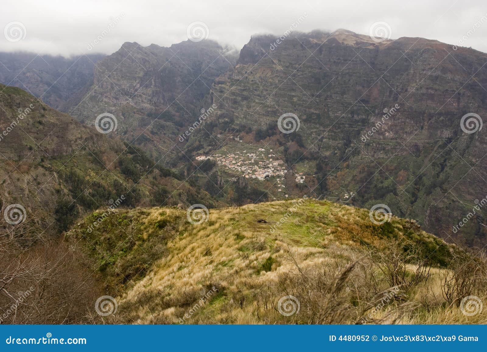 Madeira landscape stock photo. Image of coast, port, house - 4480952