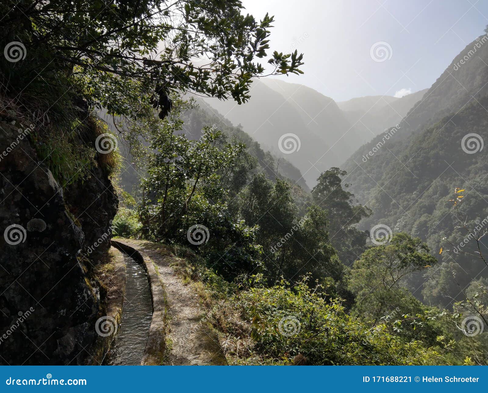 Madeira levada trail hike stock image. Image of trekking - 171688221