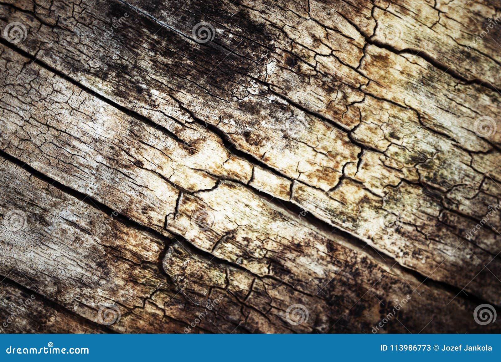 Madeira podre velha imagem de stock. Imagem de nave - 113986773