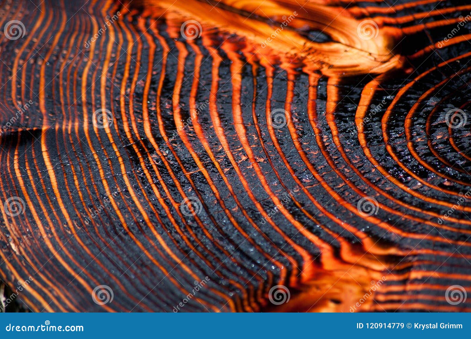 Madeira queimada imagem de stock. Imagem de carpintaria - 120914779