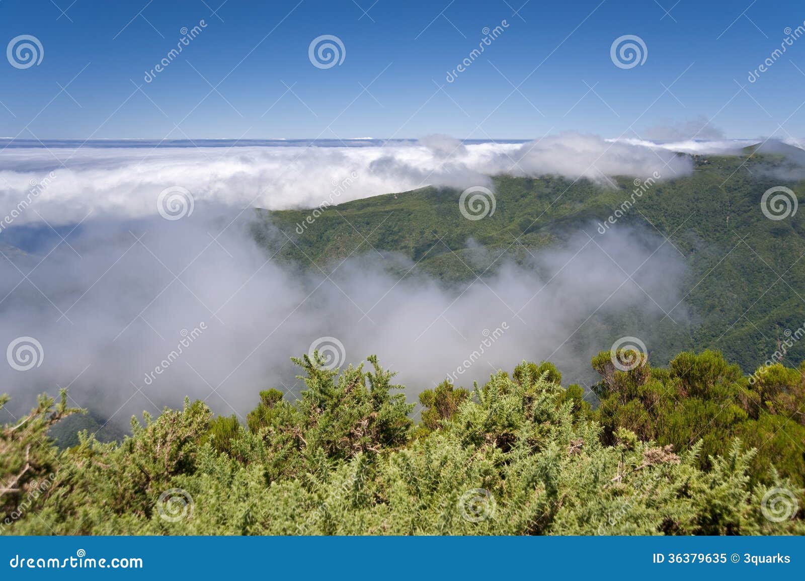 Madeira stock image. Image of sunshine, mountains, mountainous - 36379635