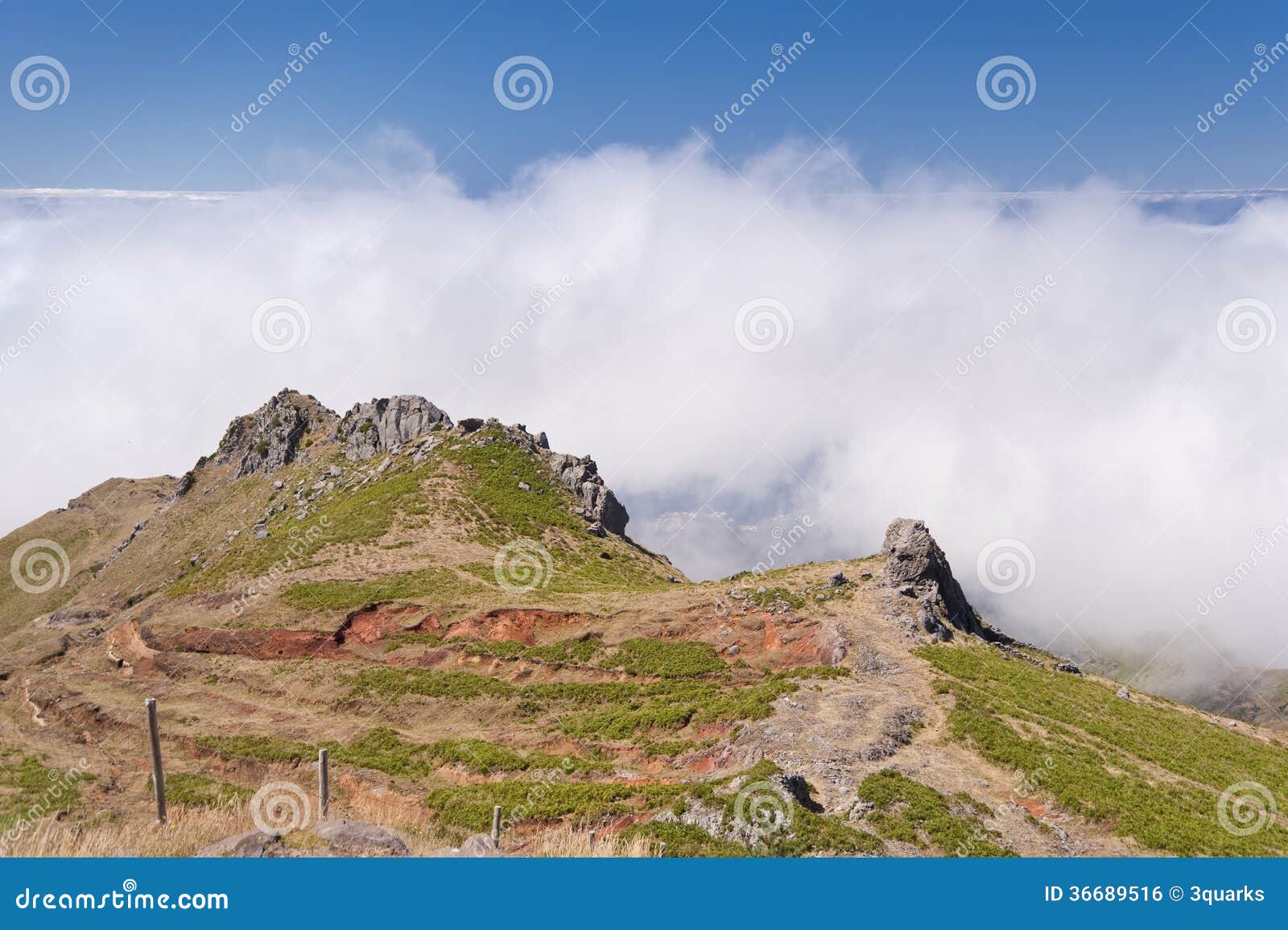 Madeira stock photo. Image of sunshine, atlantic, landscape - 36689516