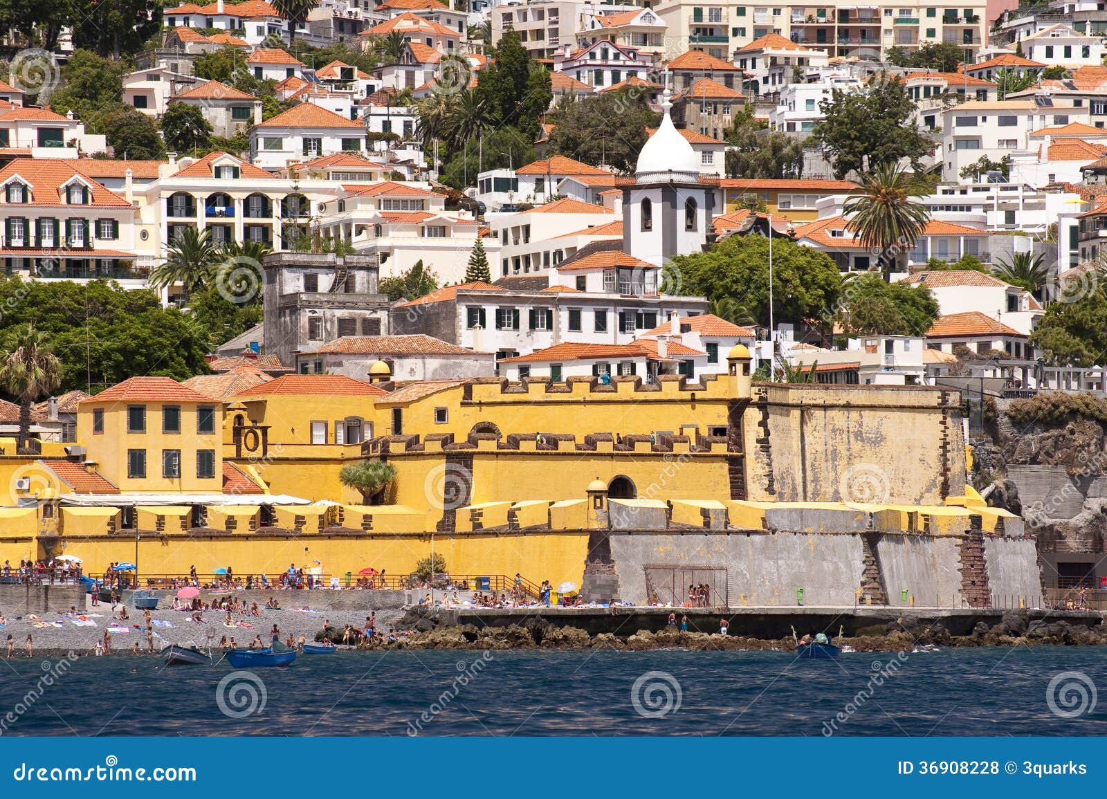 Madeira stock photo. Image of boats, building, atlantic - 36908228