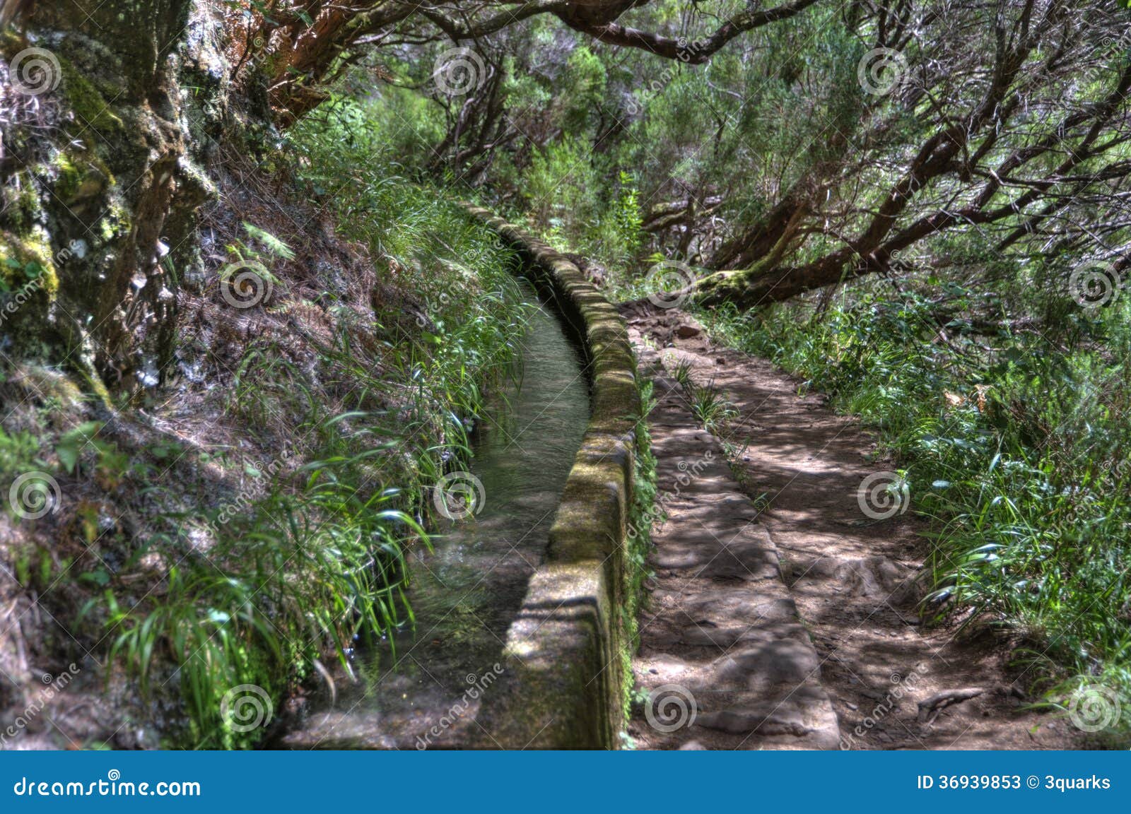 Madeira stock image. Image of hill, portugal, mountains - 36939853