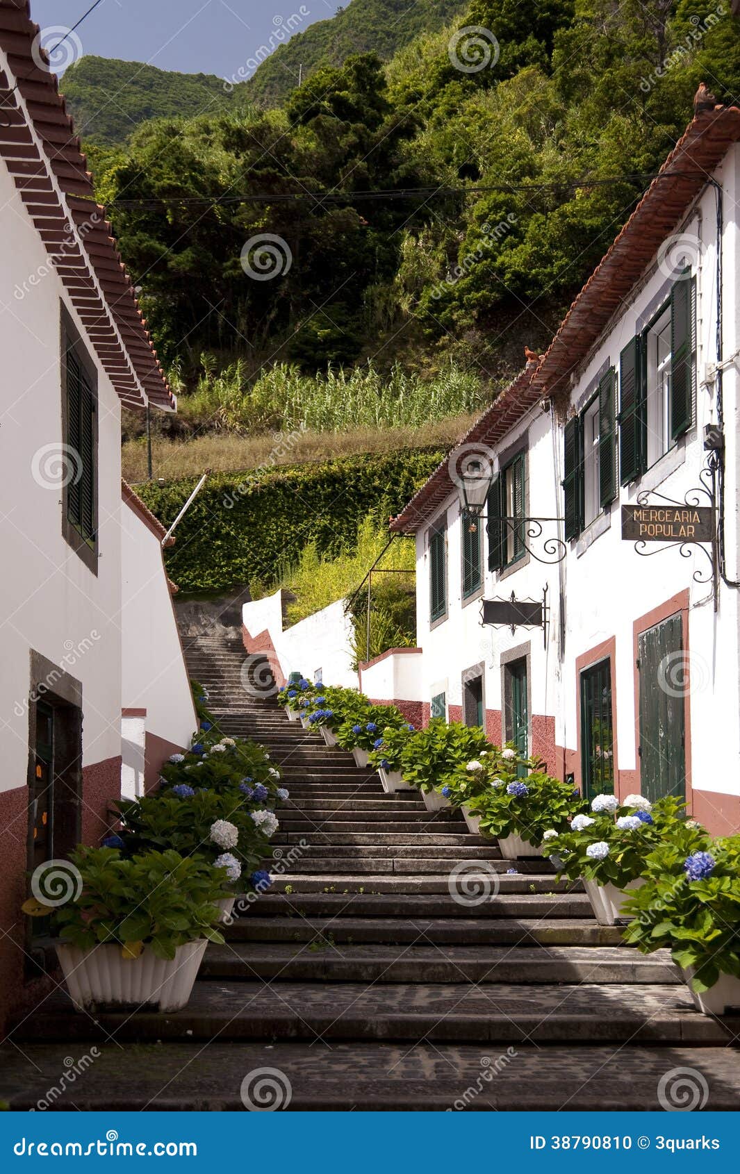 Madeira stock photo. Image of mosaic, ornaments, houses - 38790810