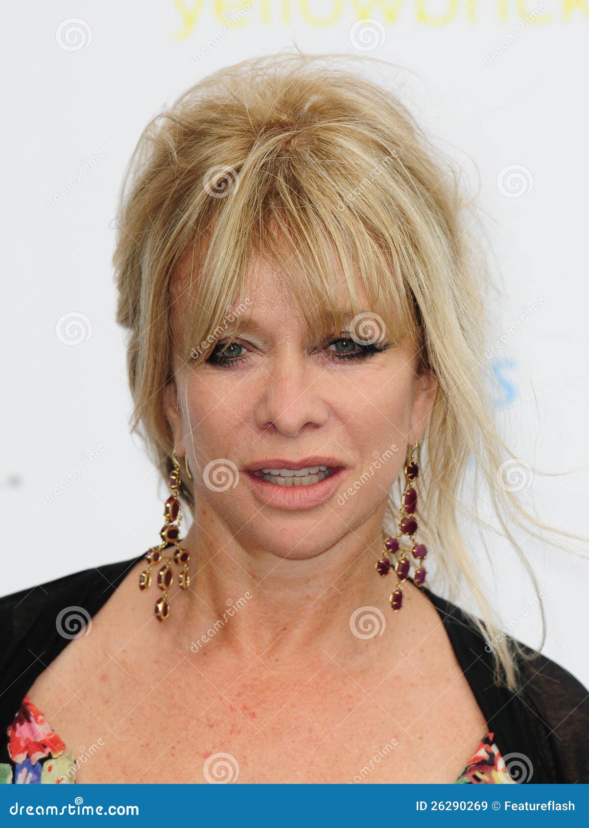 Madeiras de Jo imagem de stock editorial. Imagem de rochas - 26290269