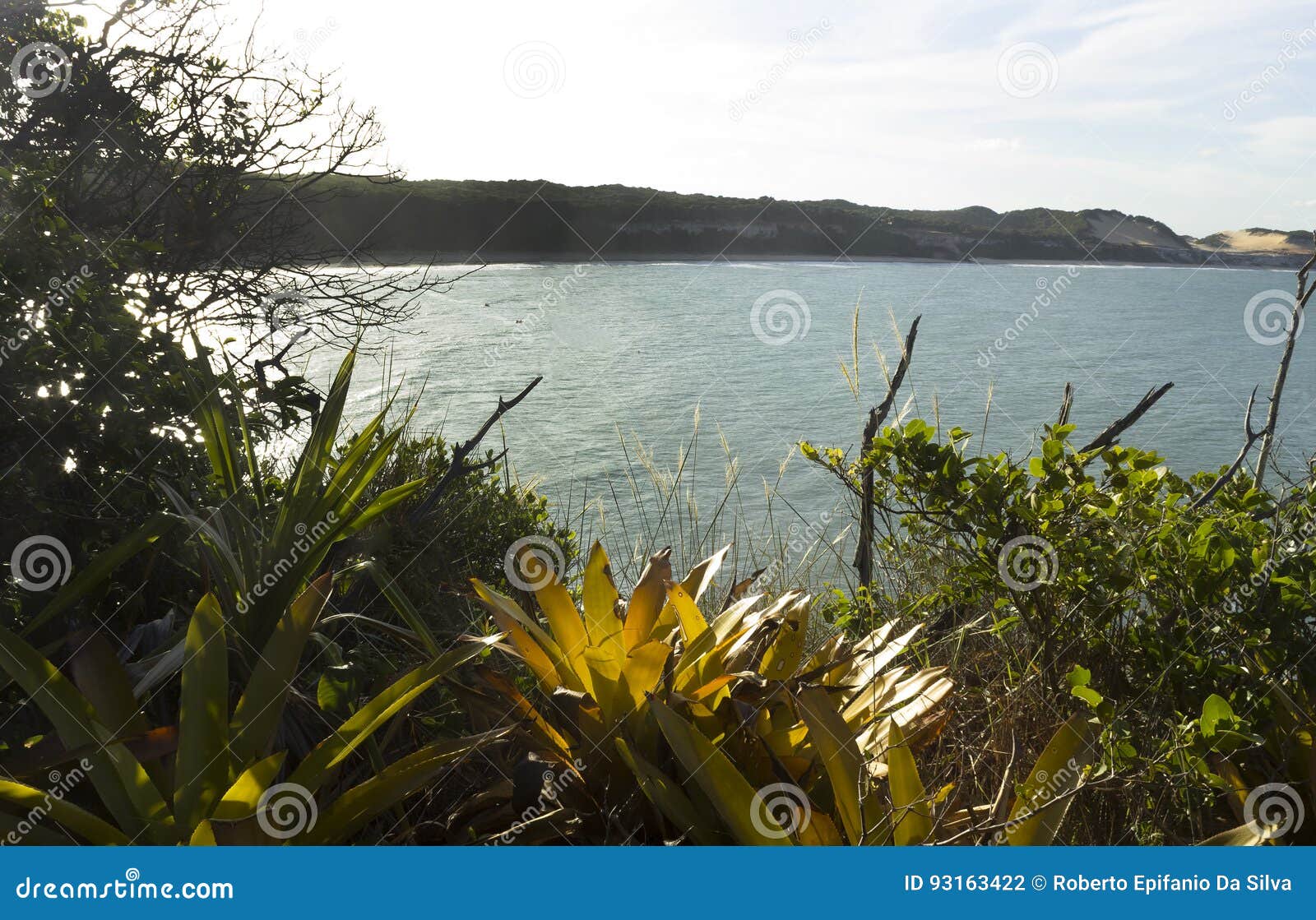 Madeiro Beach In PIPA RN Brazil. View From The Beach. Praia Do Madeiro ...