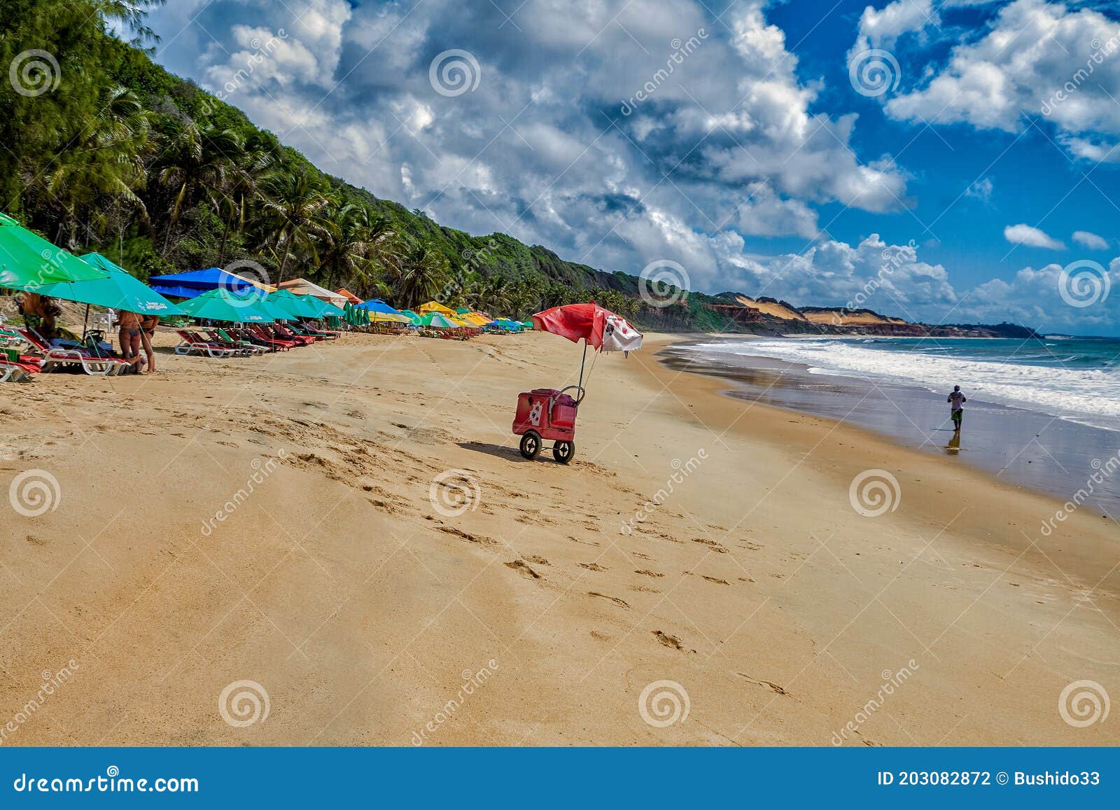 Madeiro Beach at Tibau Do Sul Editorial Photography - Image of ...