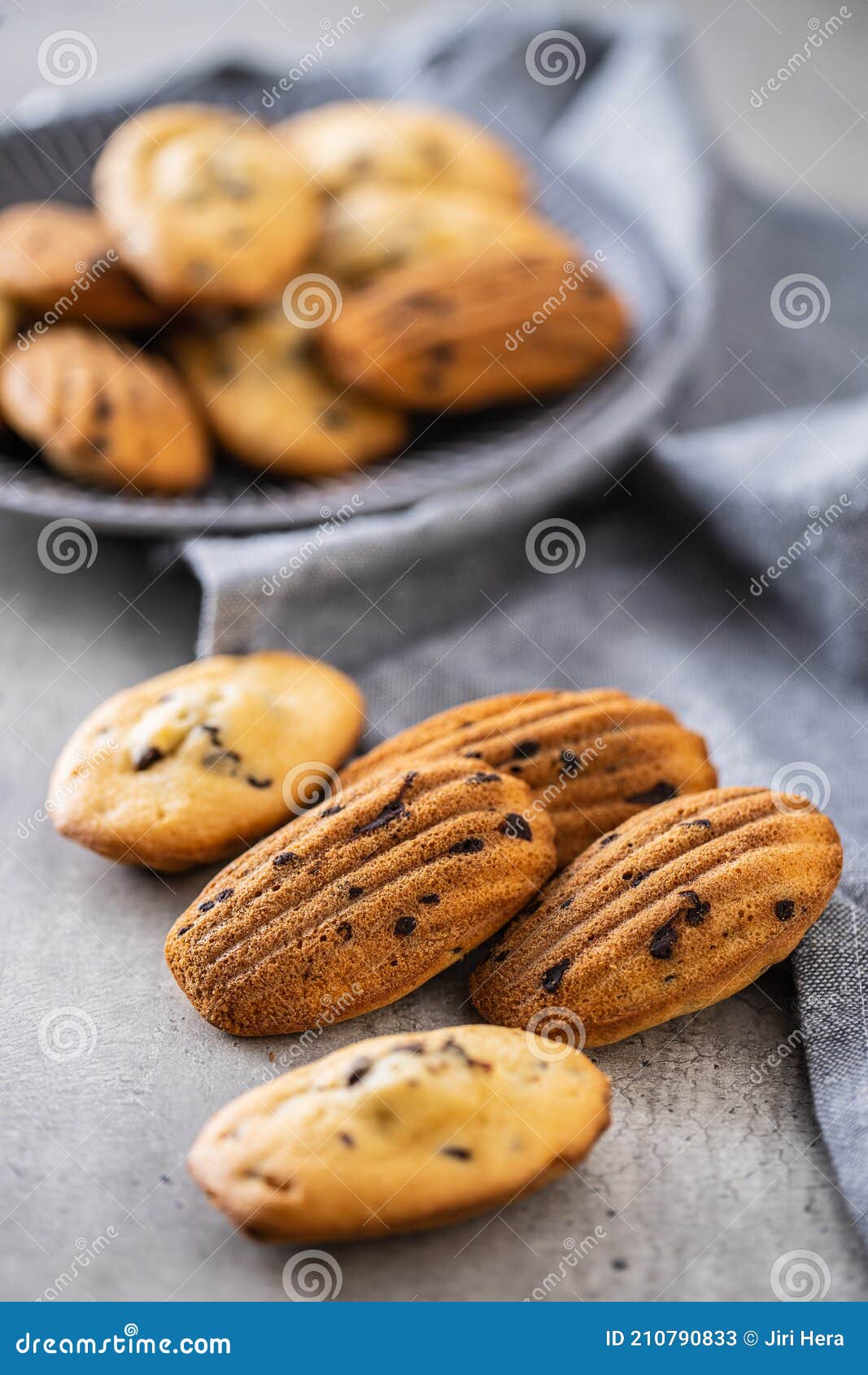 Madeleine with Chocolate. Traditional French Small Cakes Stock Image ...