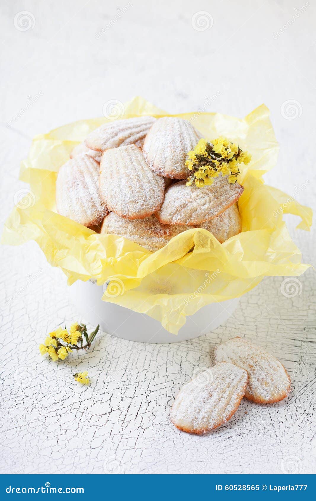 Madeleine stock image. Image of biscuit, pastry, celebrate - 60528565